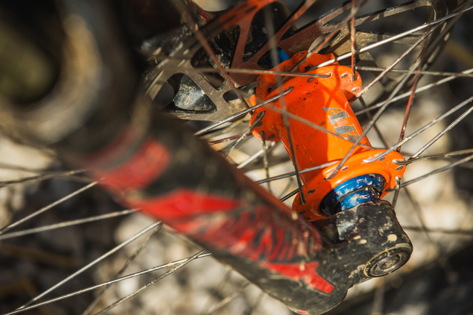 Pro GRT Pro Bike - Angelina Polermo's Specialized Demo - Pro Bikes from ...