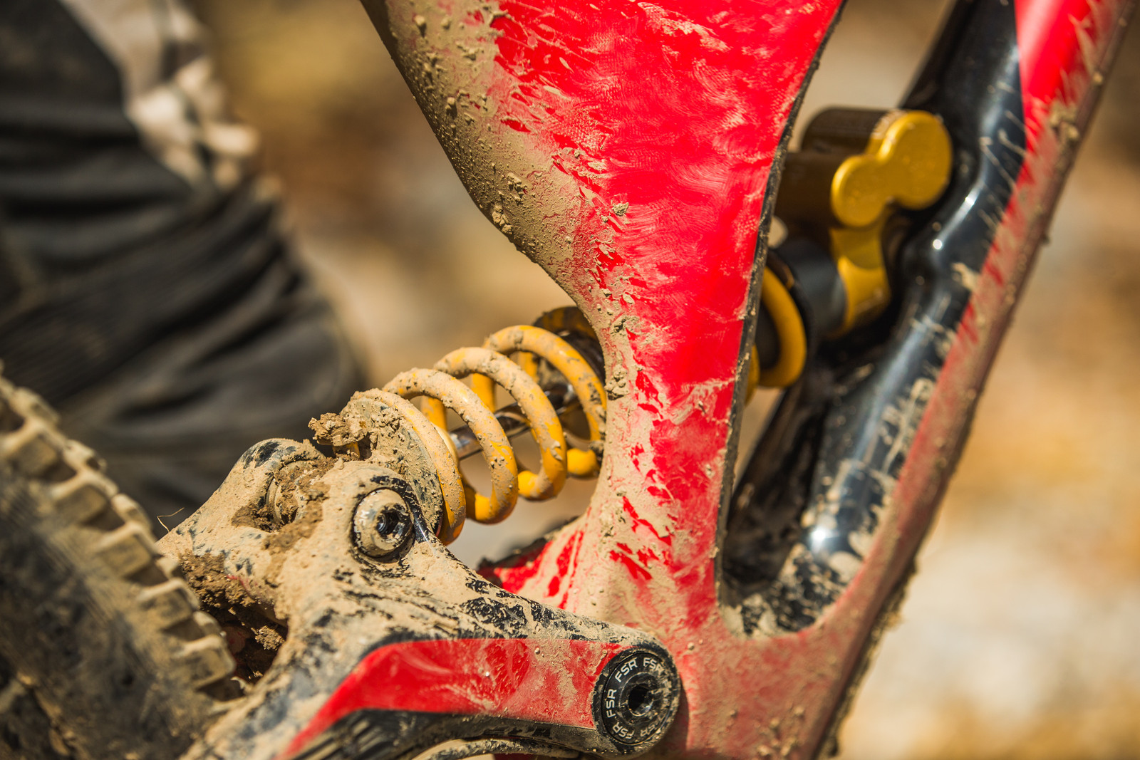 Pro GRT Pro Bike - Angelina Polermo's Specialized Demo - Pro Bikes from ...