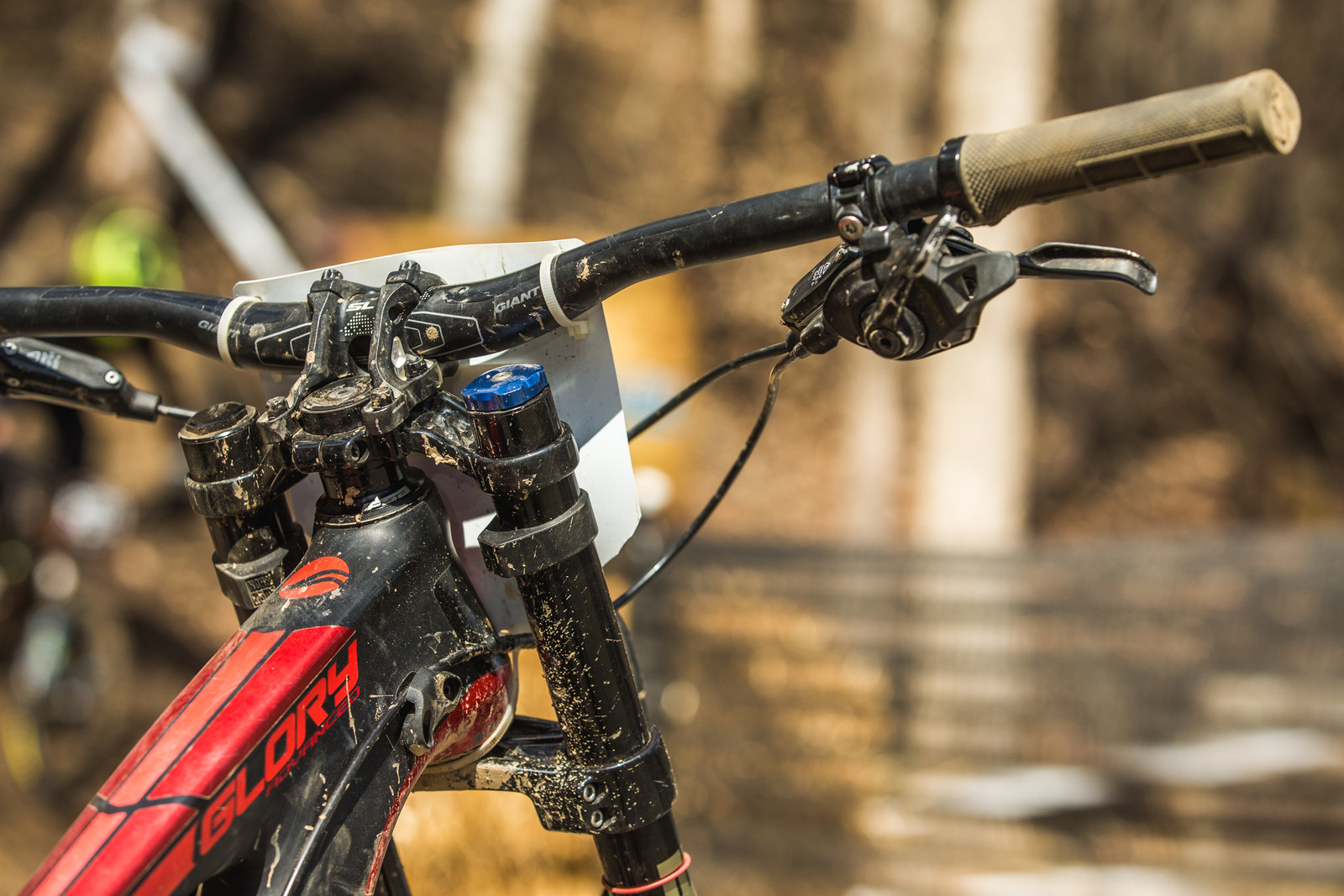 Pro GRT Pro Bike - Caroline Washam's Giant Glory Advanced - Pro Bikes ...