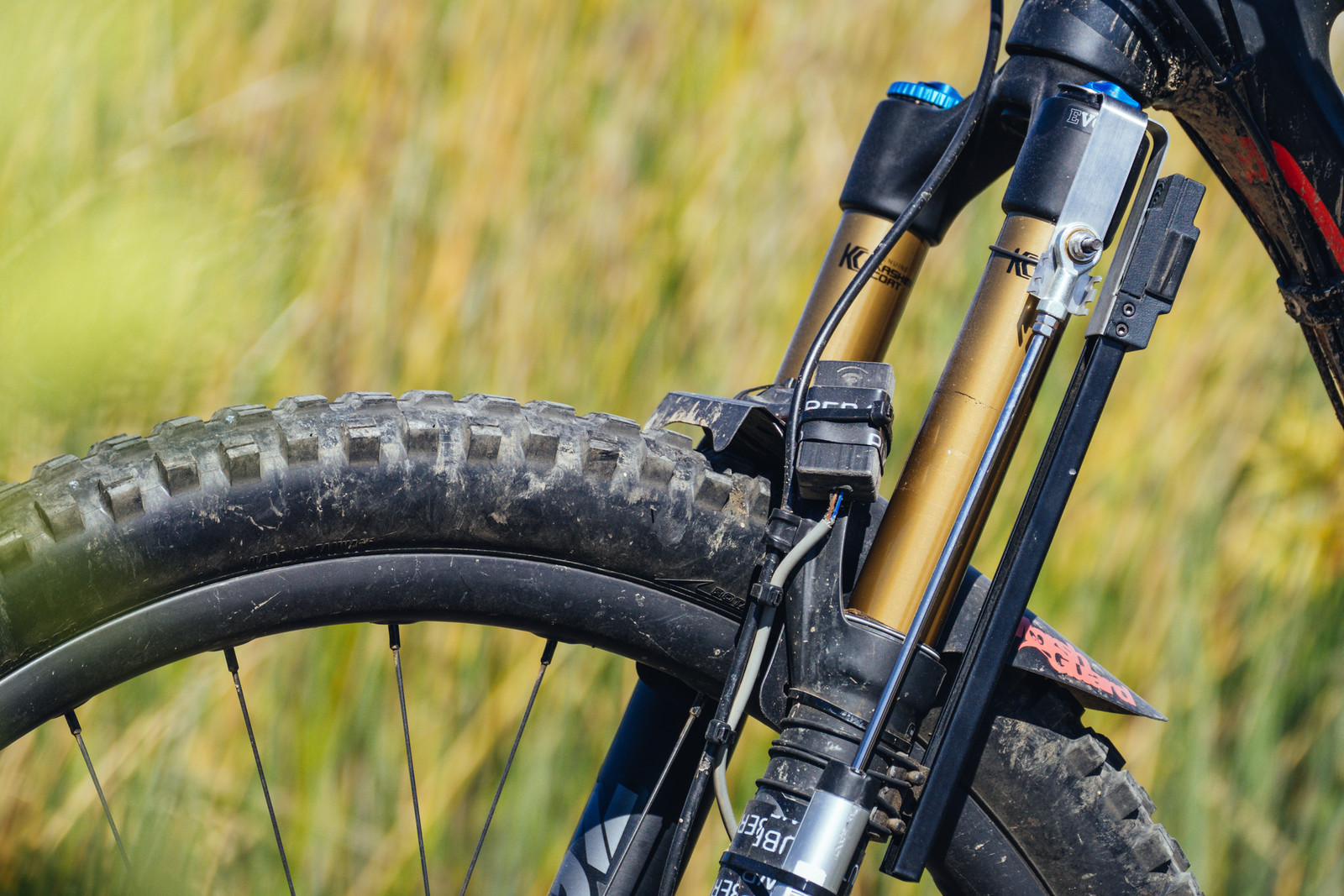 Motion Instruments Working to Bring Detailed Suspension Data ...