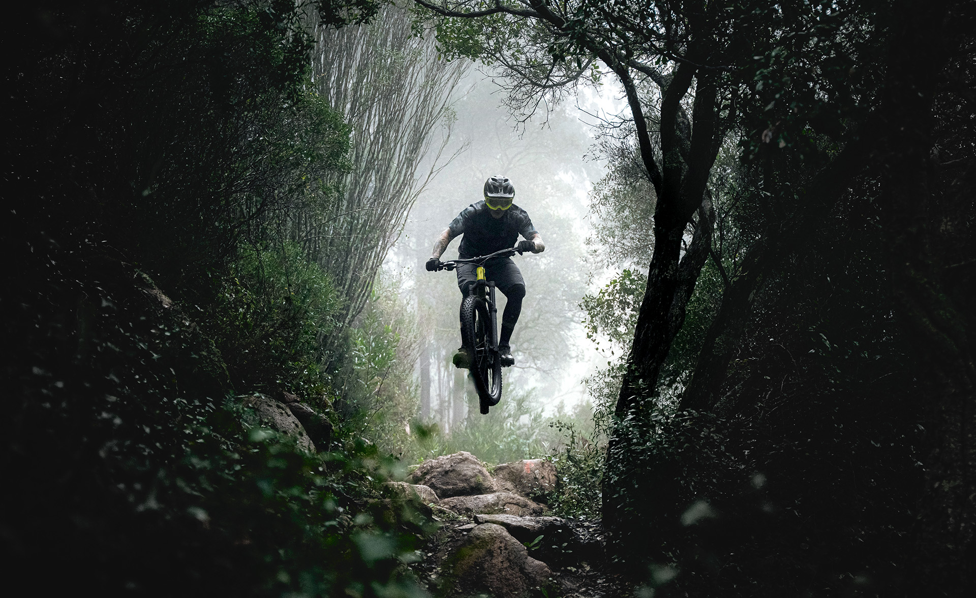 YT CAPRA Core 1 and 2: Fundamental to Feeding Your Gravity Greed ...