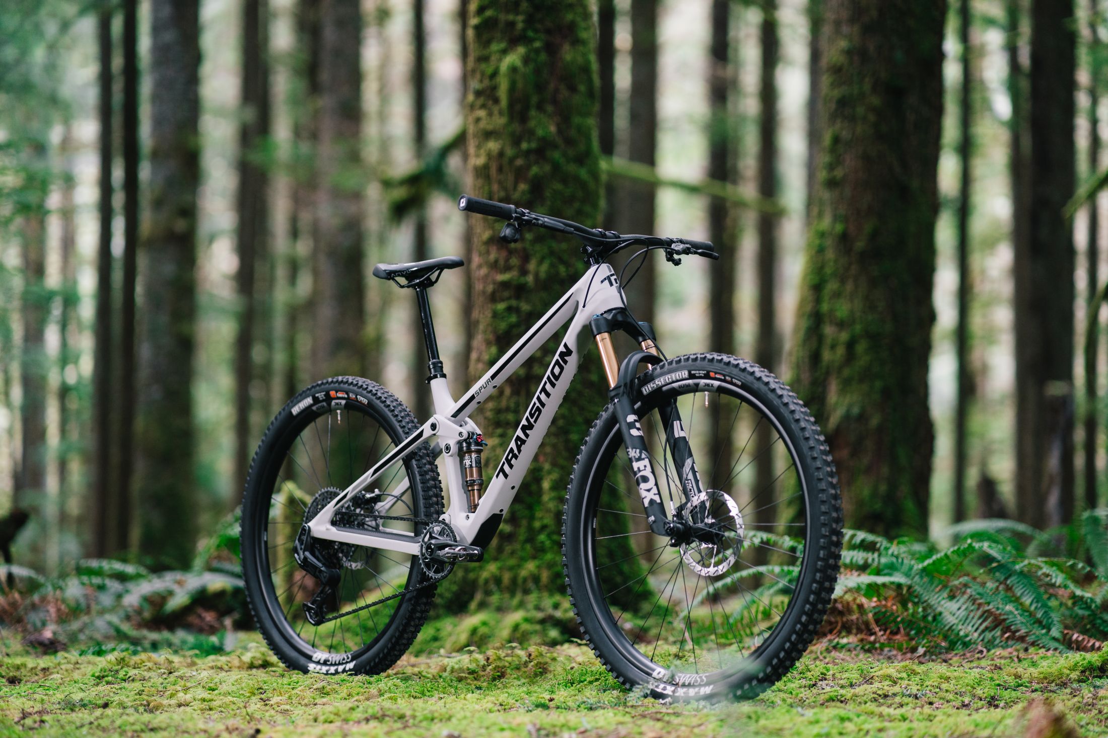 Transition Spur Colors, Spec, and UDH Frame Updates - Mountain Bike ...