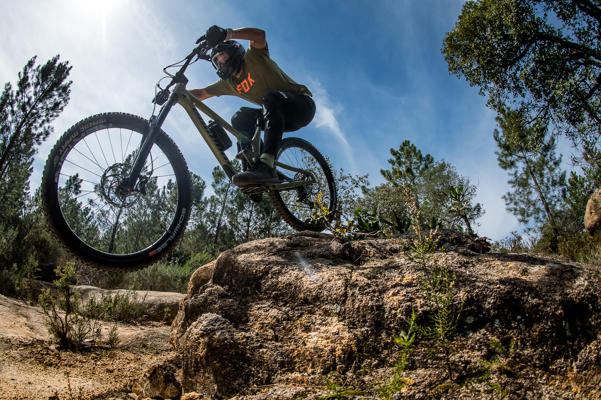 Fresh, Fast, and Fun: New Propain Tyee - Mountain Bike Feature - Vital MTB