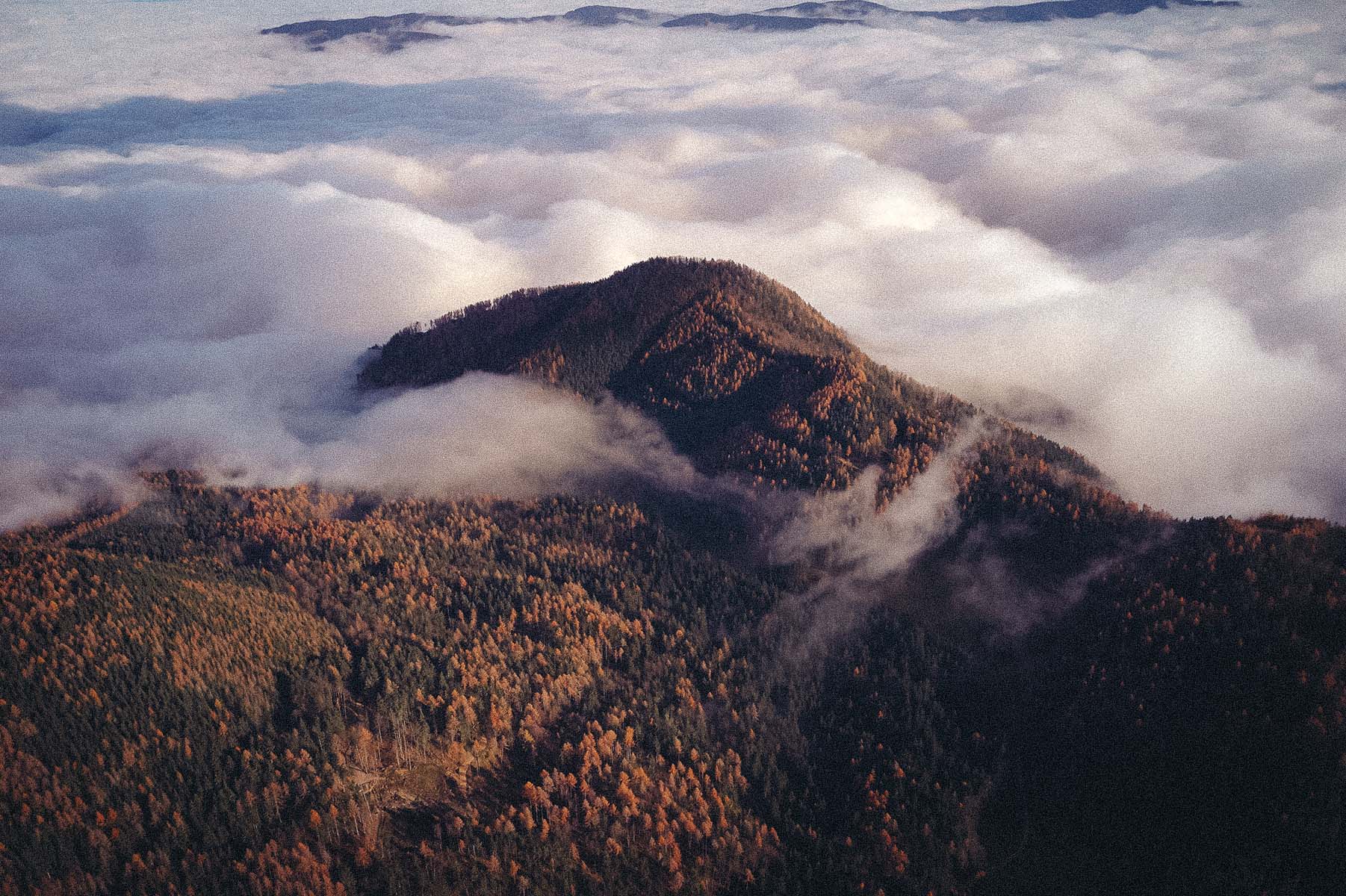 Roamer trail – a hosted, multi-day mountain bike journey series ...