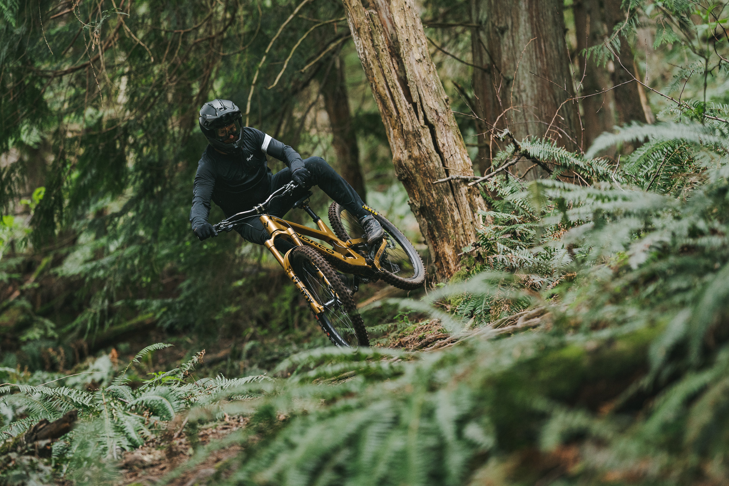 Gold Standard Featuring Bryn Atkinson - Mountain Bike Press Release ...