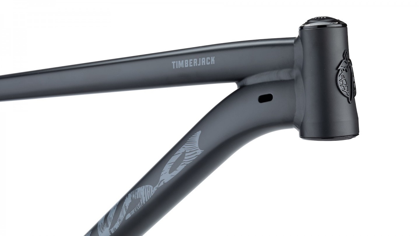 Salsa Timberjack (2019-2020) Frame - Reviews, Comparisons, Specs ...