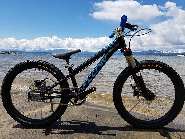 2019 Flow 20" Plus Size Wheels 10-Speed Bike - Reviews, Comparisons ...