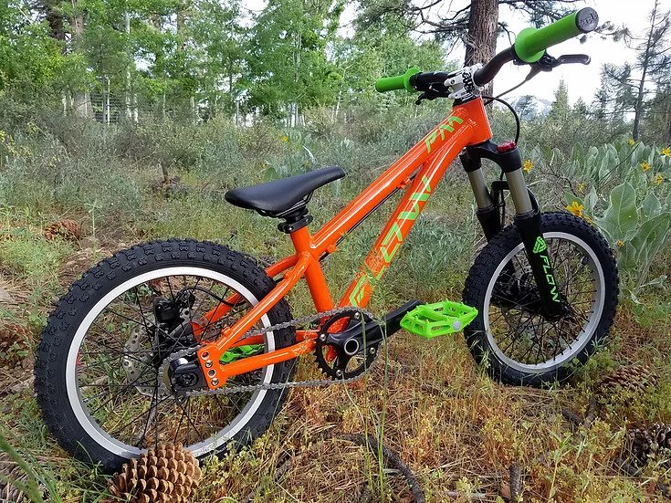 2019 Flow 16" Singlespeed Bike - Reviews, Comparisons, Specs - Bikes ...