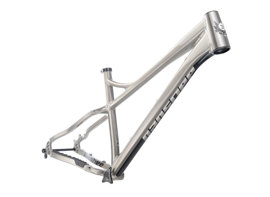 Banshee Enigma Frame - Reviews, Comparisons, Specs - Frames - Vital MTB