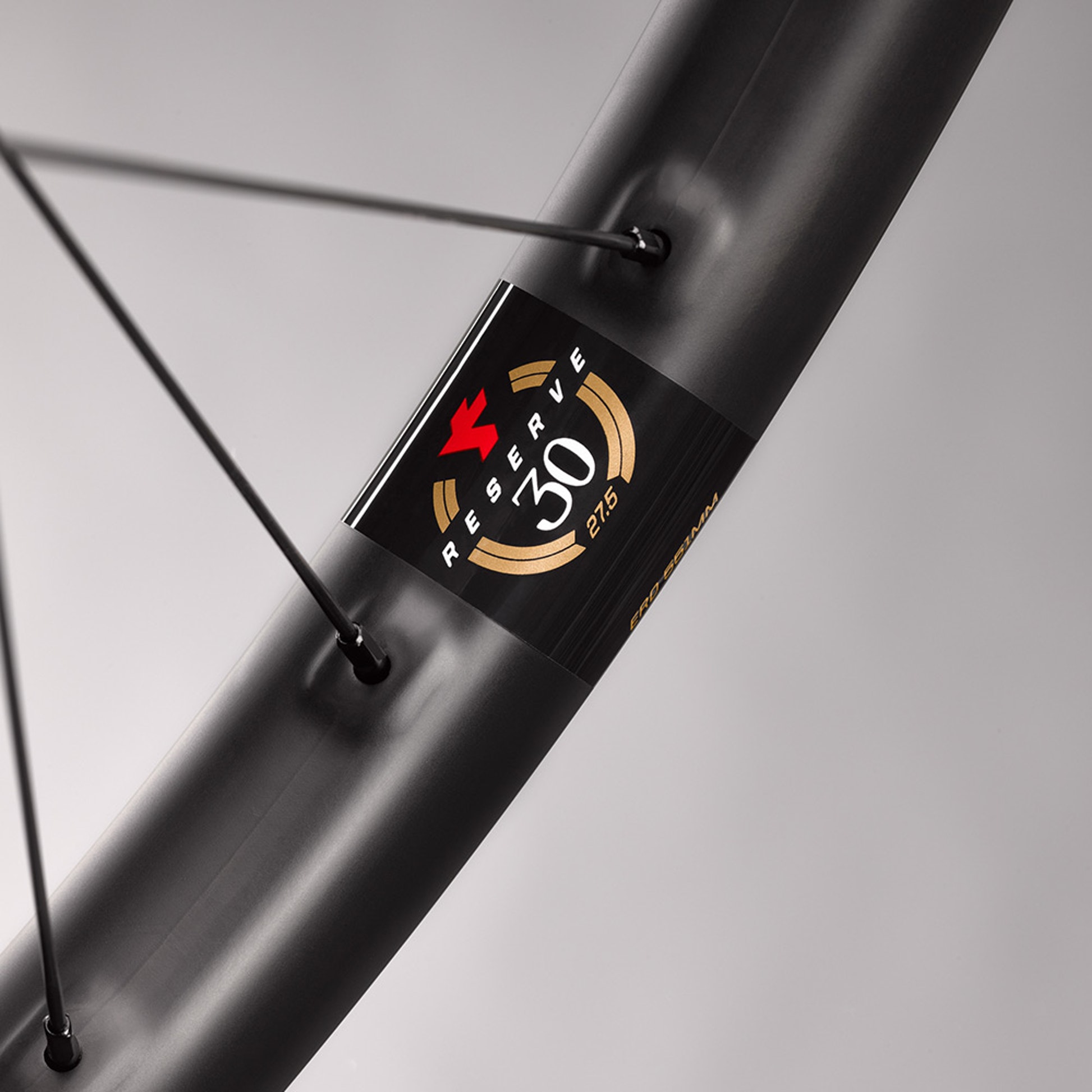 Reserve 30 Wheelset - Reviews, Comparisons, Specs - Wheelsets - Vital MTB