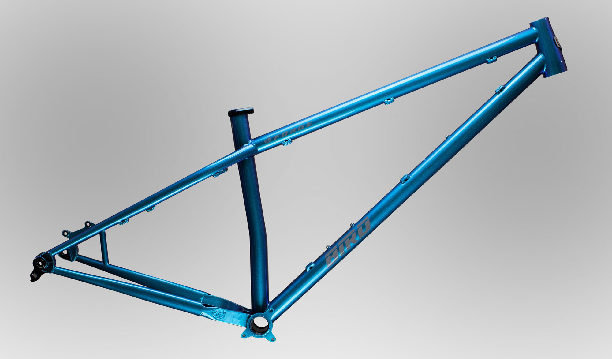 Bird Forge Frame - Reviews, Comparisons, Specs - Frames - Vital MTB
