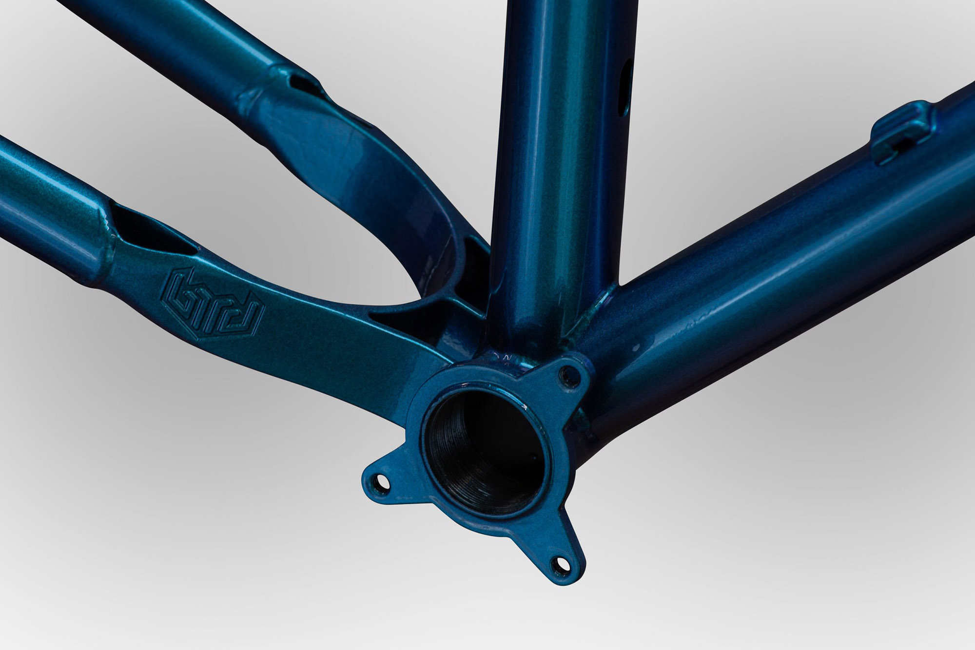 Bird Forge Frame - Reviews, Comparisons, Specs - Frames - Vital MTB