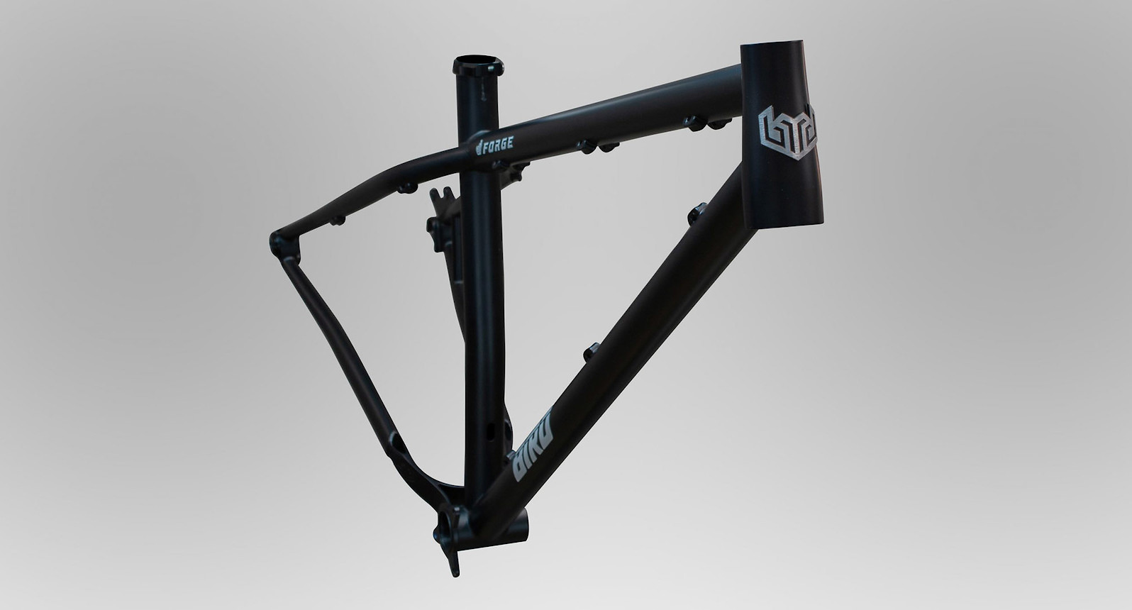 2021 Bird Forge Shimano 12-speed Bike - Reviews, Comparisons, Specs ...