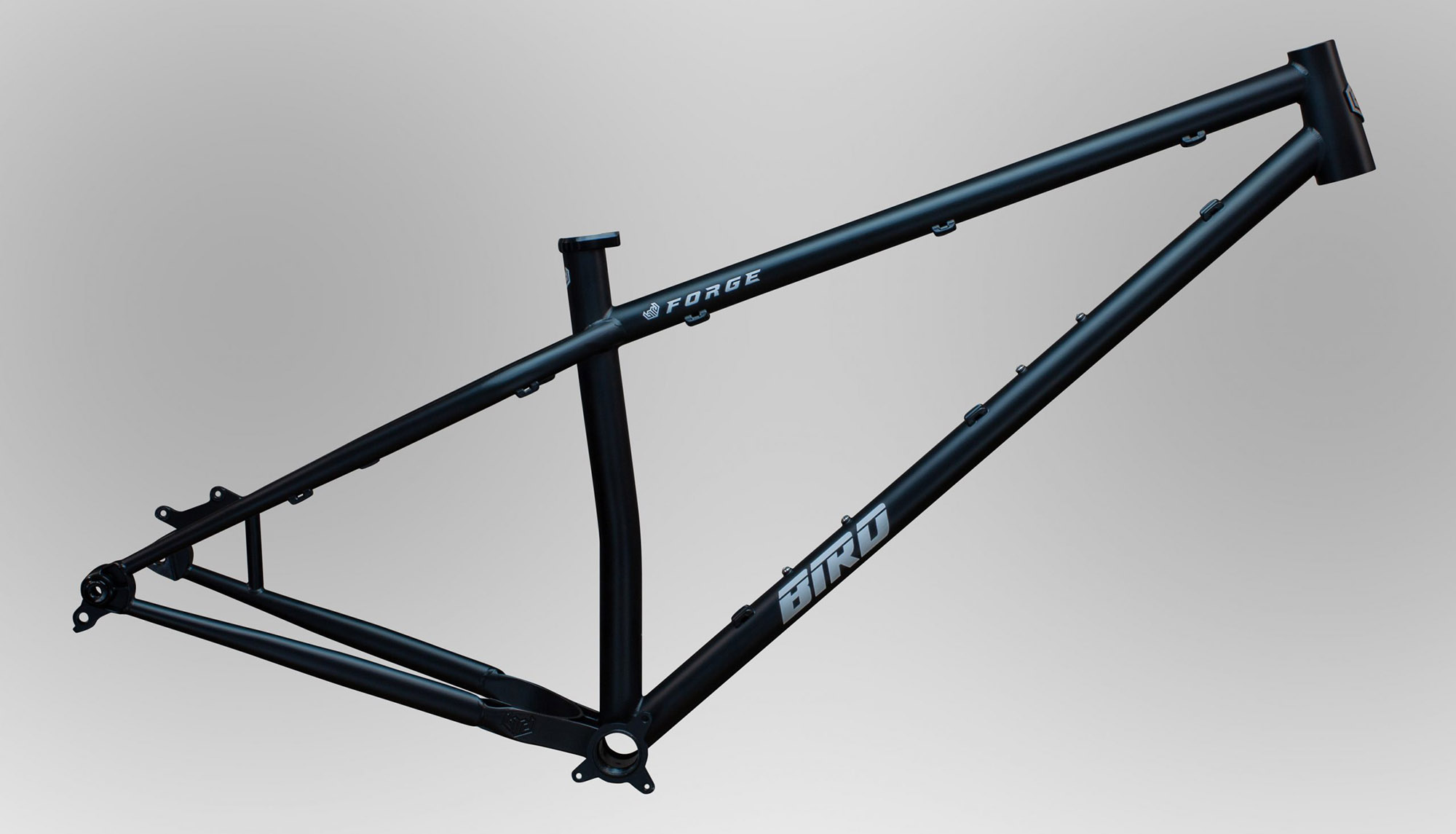 2021 Bird Forge SRAM Eagle Bike - Reviews, Comparisons, Specs - Bikes ...