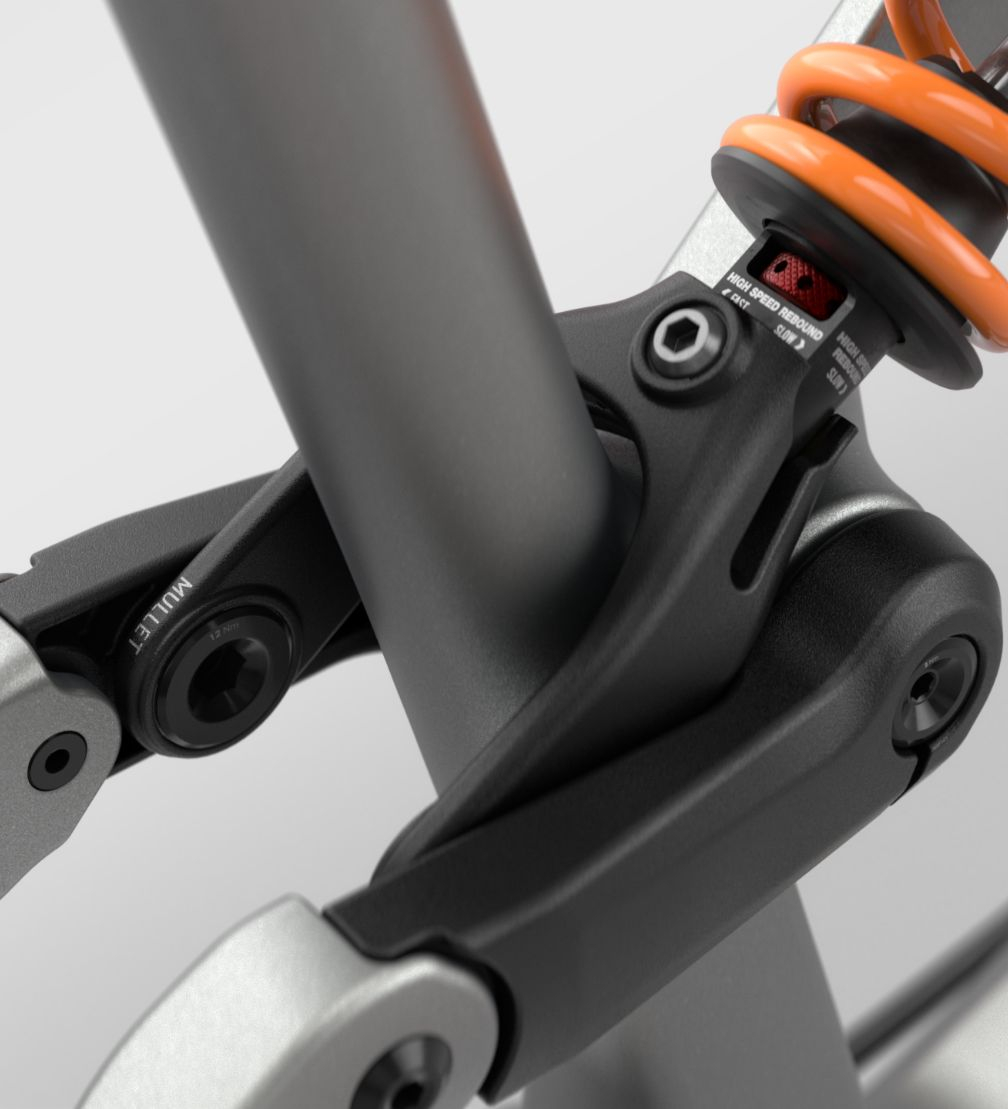 Orbea Rallon Frame - Reviews, Comparisons, Specs - Frames - Vital MTB