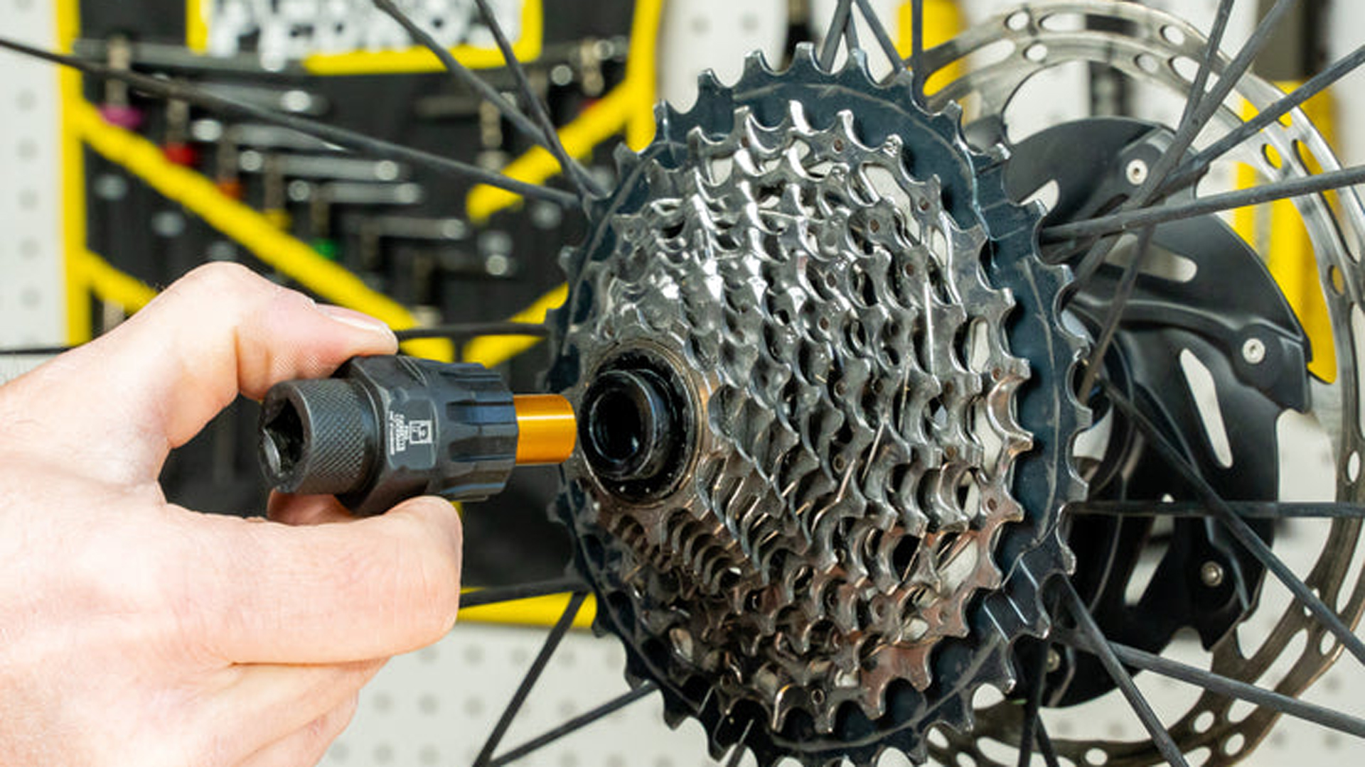Pedro's Pro Cassette Lockring Socket with Pin - Reviews, Comparisons ...