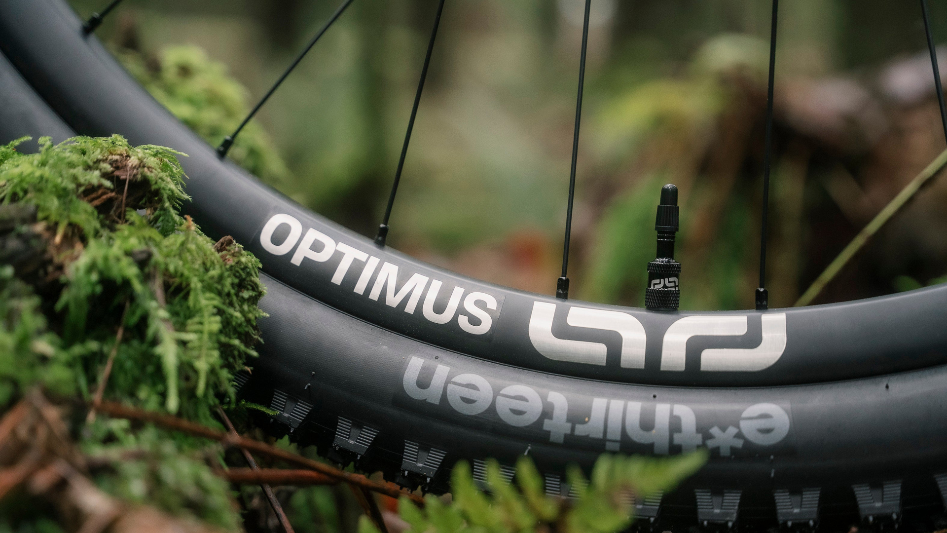 e*thirteen Optimus Race Carbon Trail Rim - Reviews, Comparisons, Specs ...