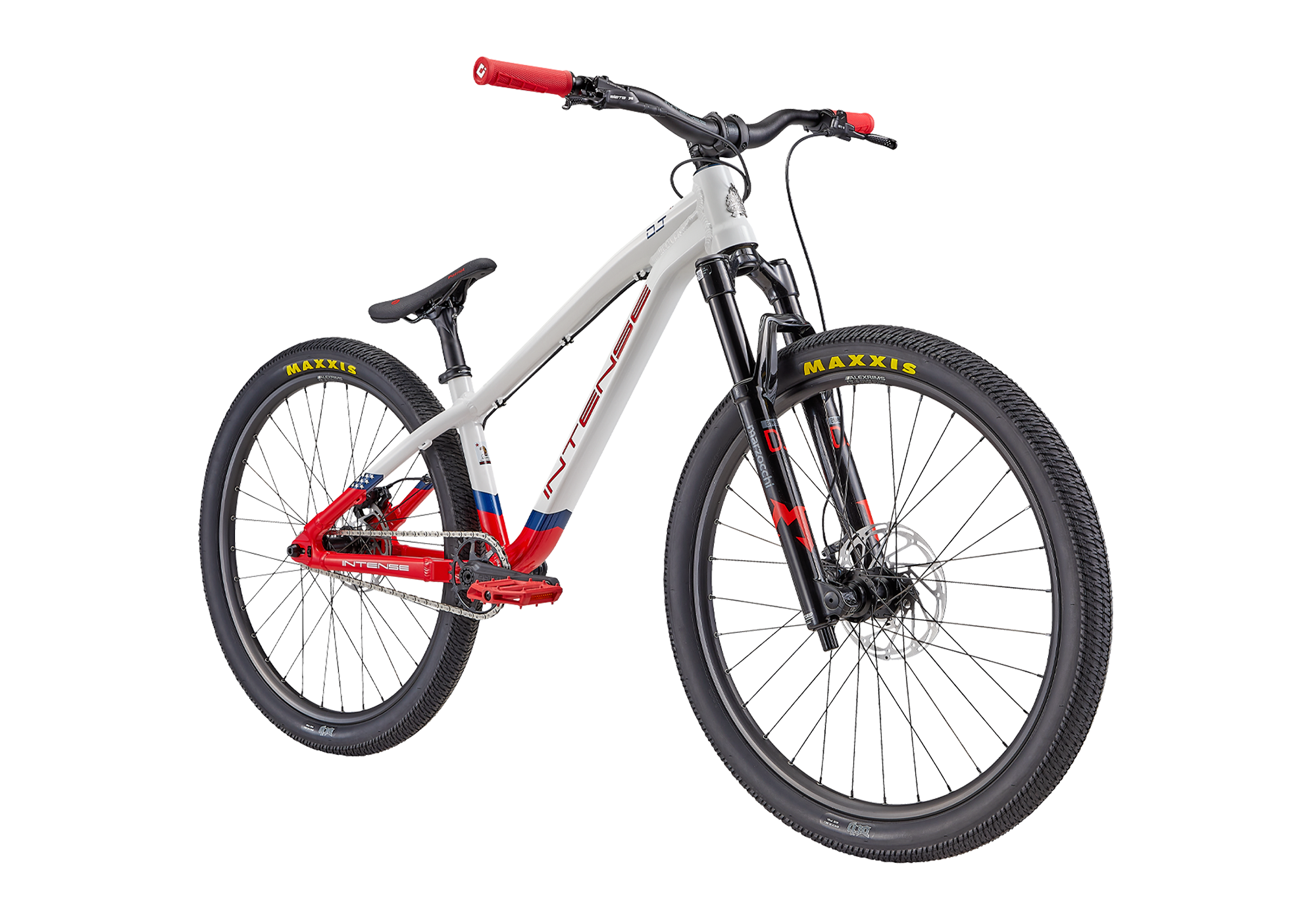 2024 Intense DJ Bike - Reviews, Comparisons, Specs - Bikes - Vital MTB