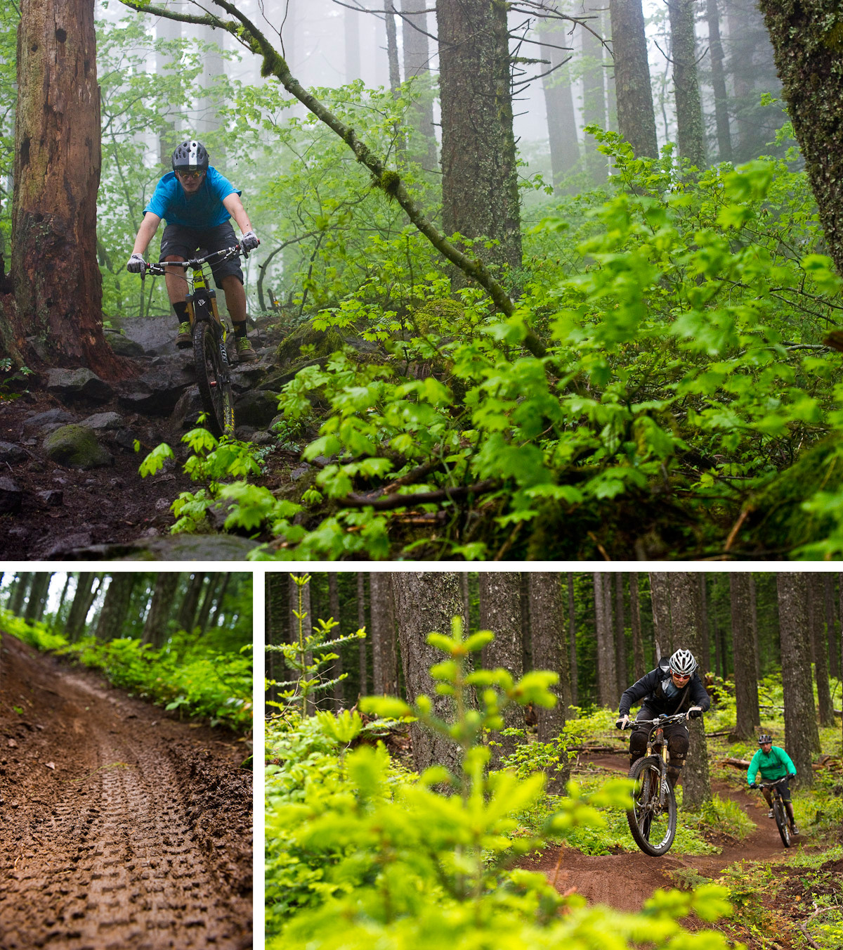 First Ride: 2014 FOX Talas CTD Fork and Float X Shock - Mountain Bike ...