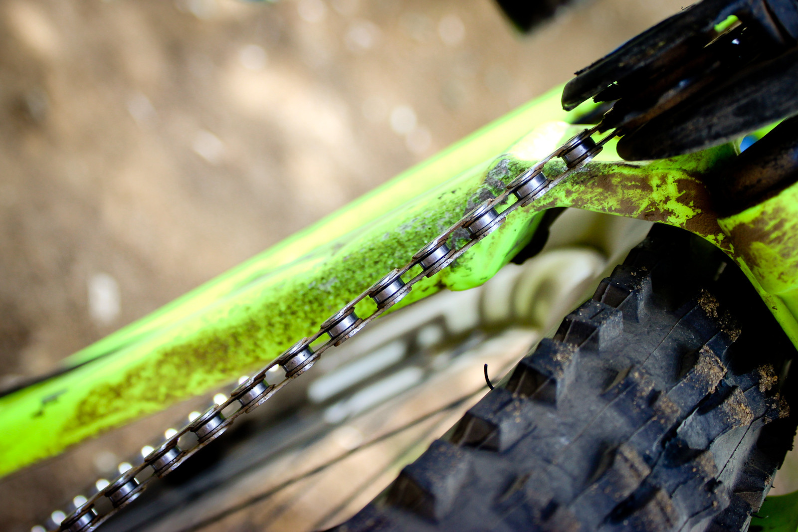 Chain guide - Dandy2901 - Mountain Biking Pictures - Vital MTB