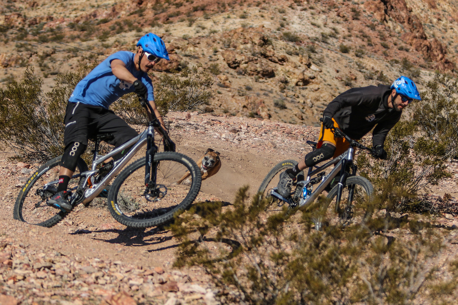 Canfield Brothers on their Direct-to-Consumer Approach - Mountain Bike ...