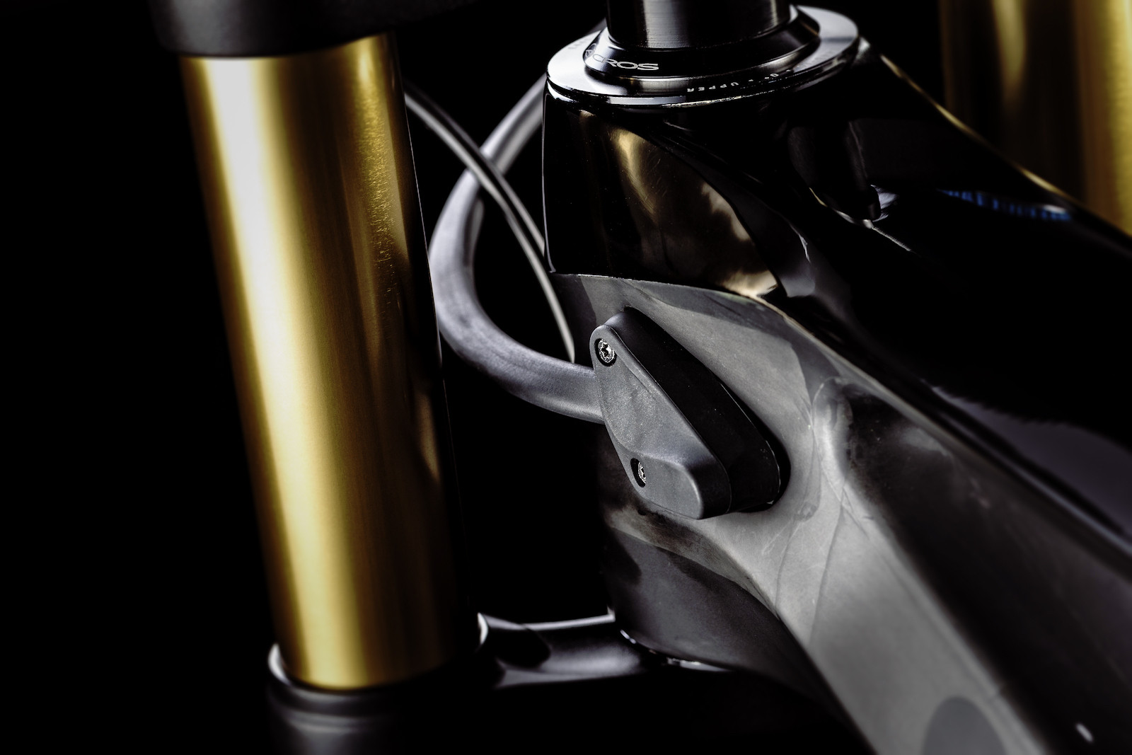 First Look: Canyon Sender CF - Mountain Bike Feature - Vital MTB