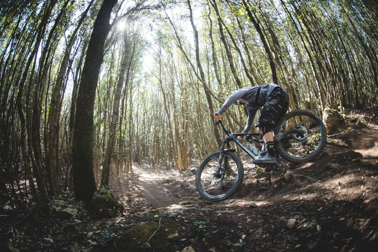 Riding Marin's Completely Redesigned Mount Vision Trail Bike - Mountain ...