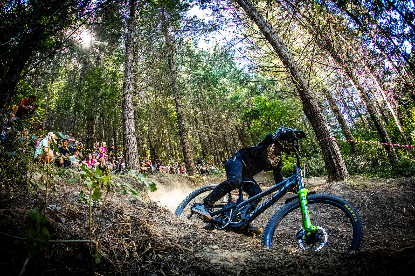 RESULTS, Photos and Interviews - New Zealand National DH, Nelson ...