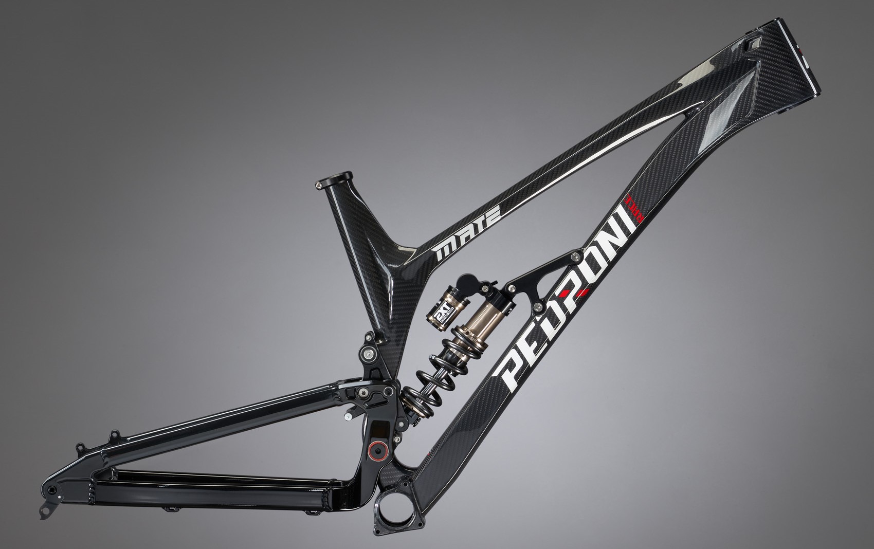 Pedroni Race bikes - Mountain Bike Press Release - Vital MTB