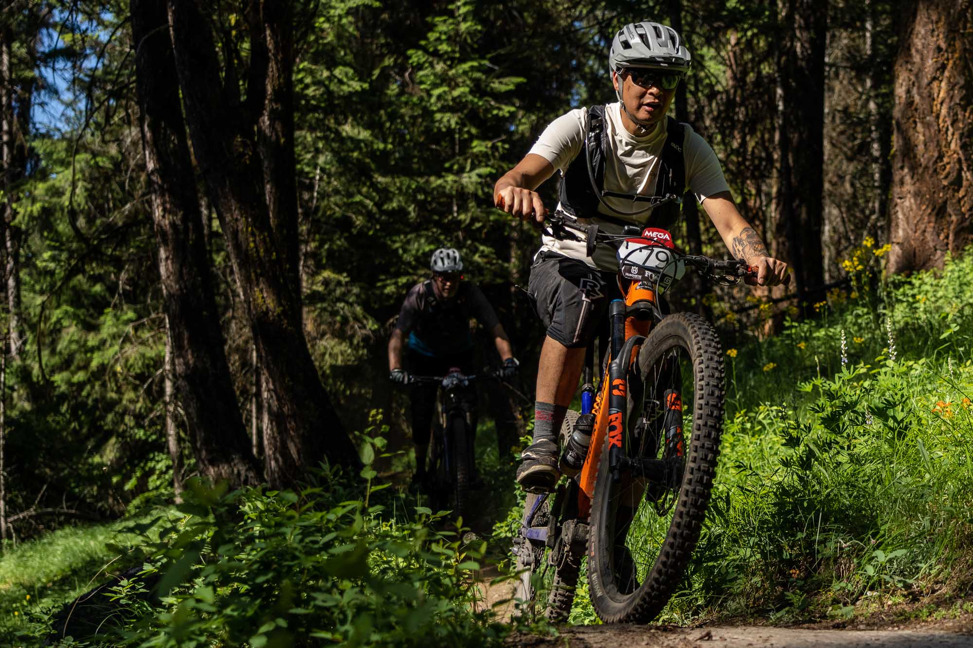 The MEGA VOLT 2024 - New Adventures - Mountain Bike Press Release ...