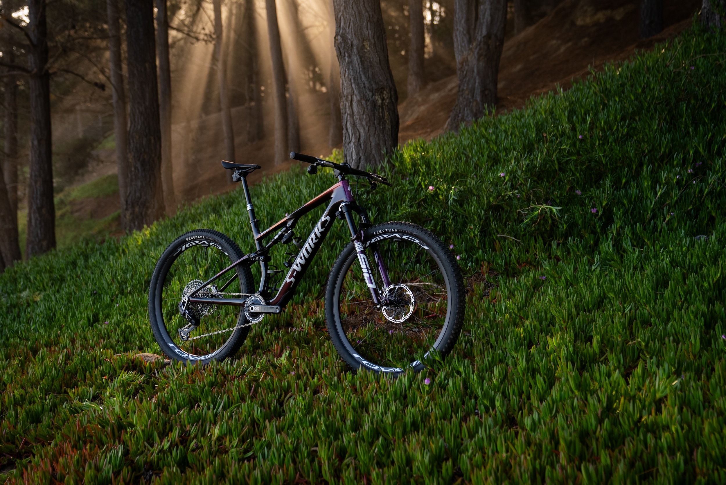 2024 Specialized Epic 8 EVO Pro Bike - Reviews, Comparisons, Specs - Bikes - Vital MTB
