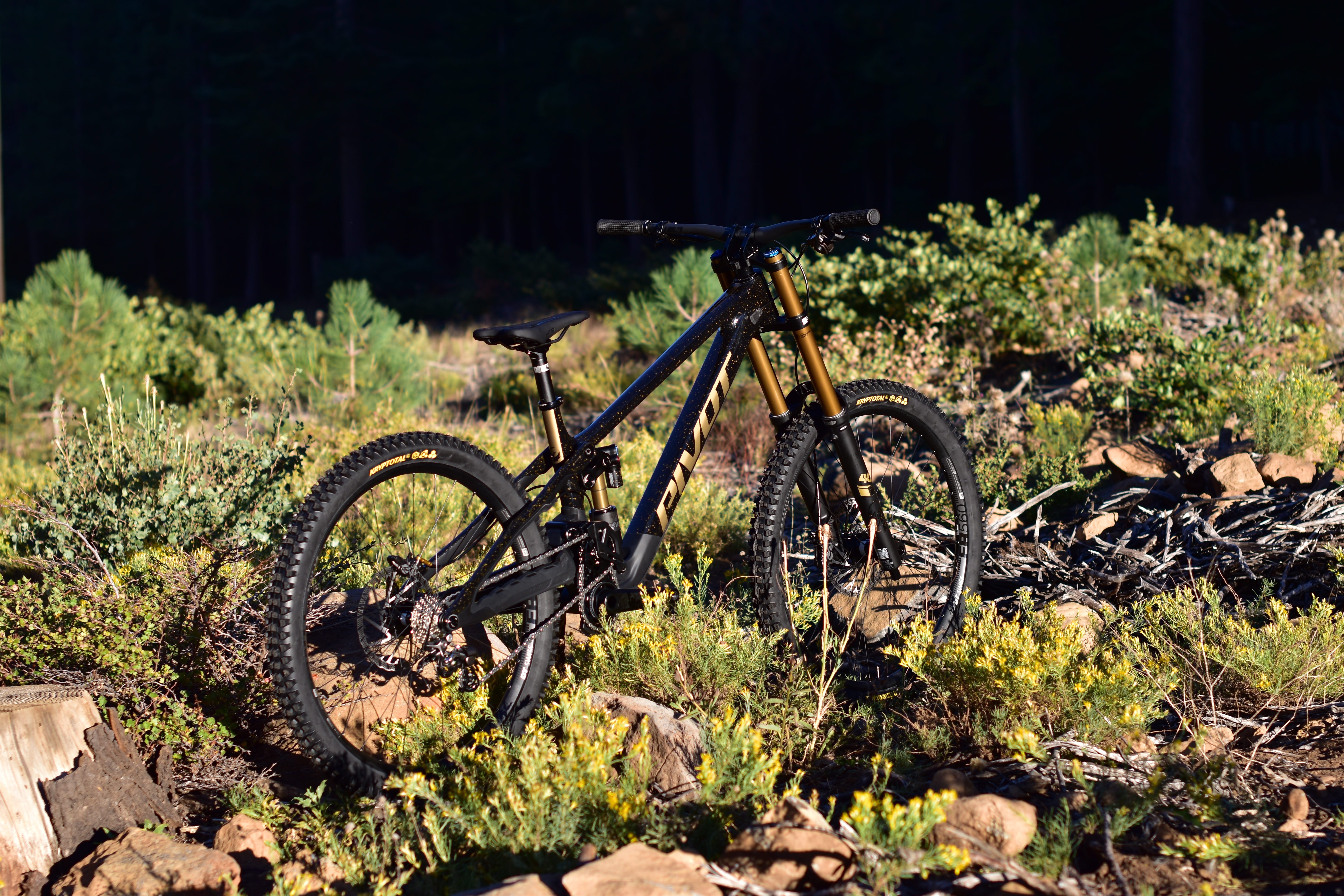 2025 Pivot Phoenix Downhill Bike Review - Mountain Bike Feature - Vital MTB