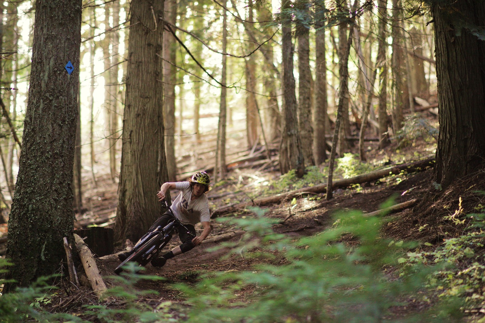 Mt Spokane - Schilly - Mountain Biking Pictures - Vital MTB