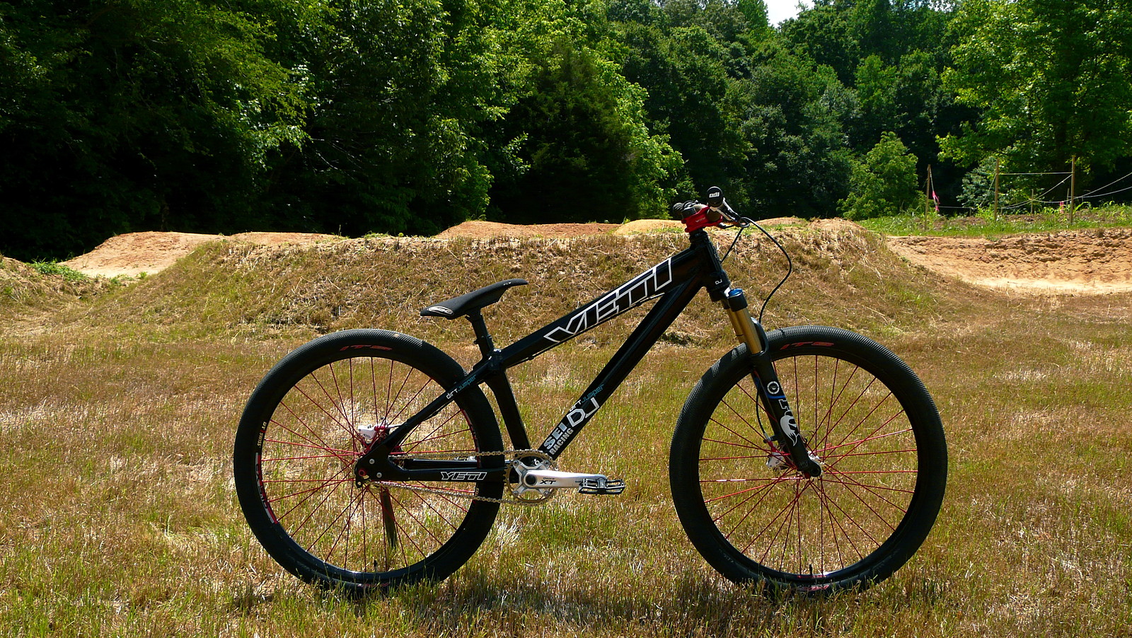 Yeti DJ - motomike - Mountain Biking Pictures - Vital MTB