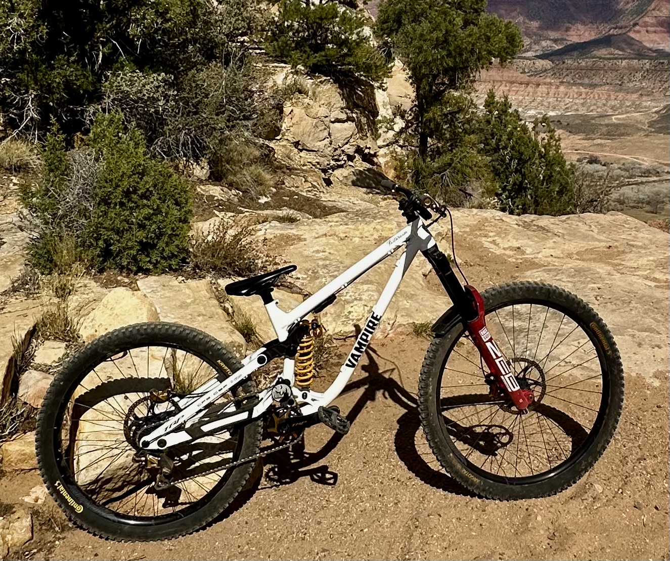 Vampire Fastarossa - ZROman's Bike Check - Vital MTB