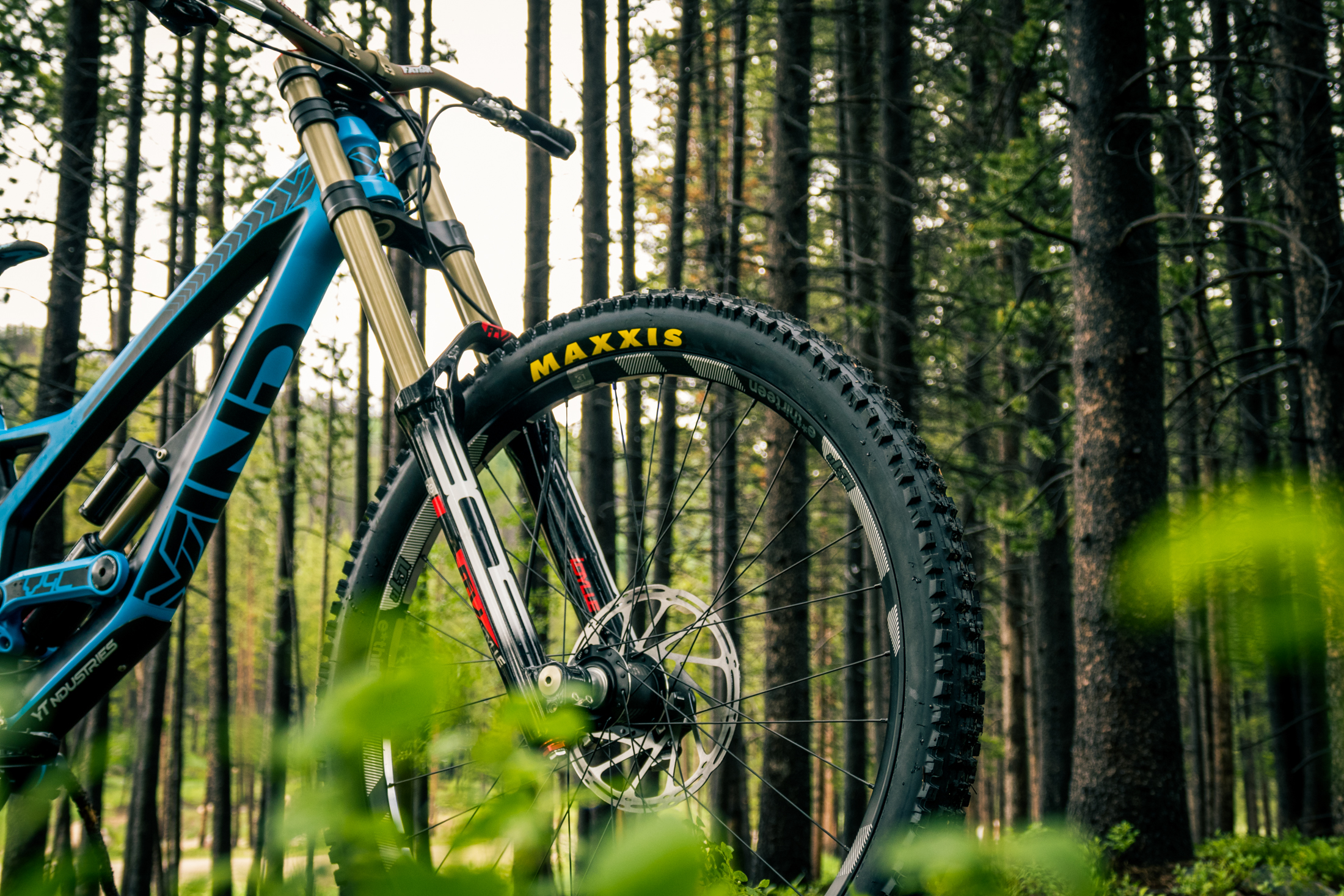 2015 YT Tues CF Pro Downhill Bike - Testing the 2015 YT Tues CF Pro ...