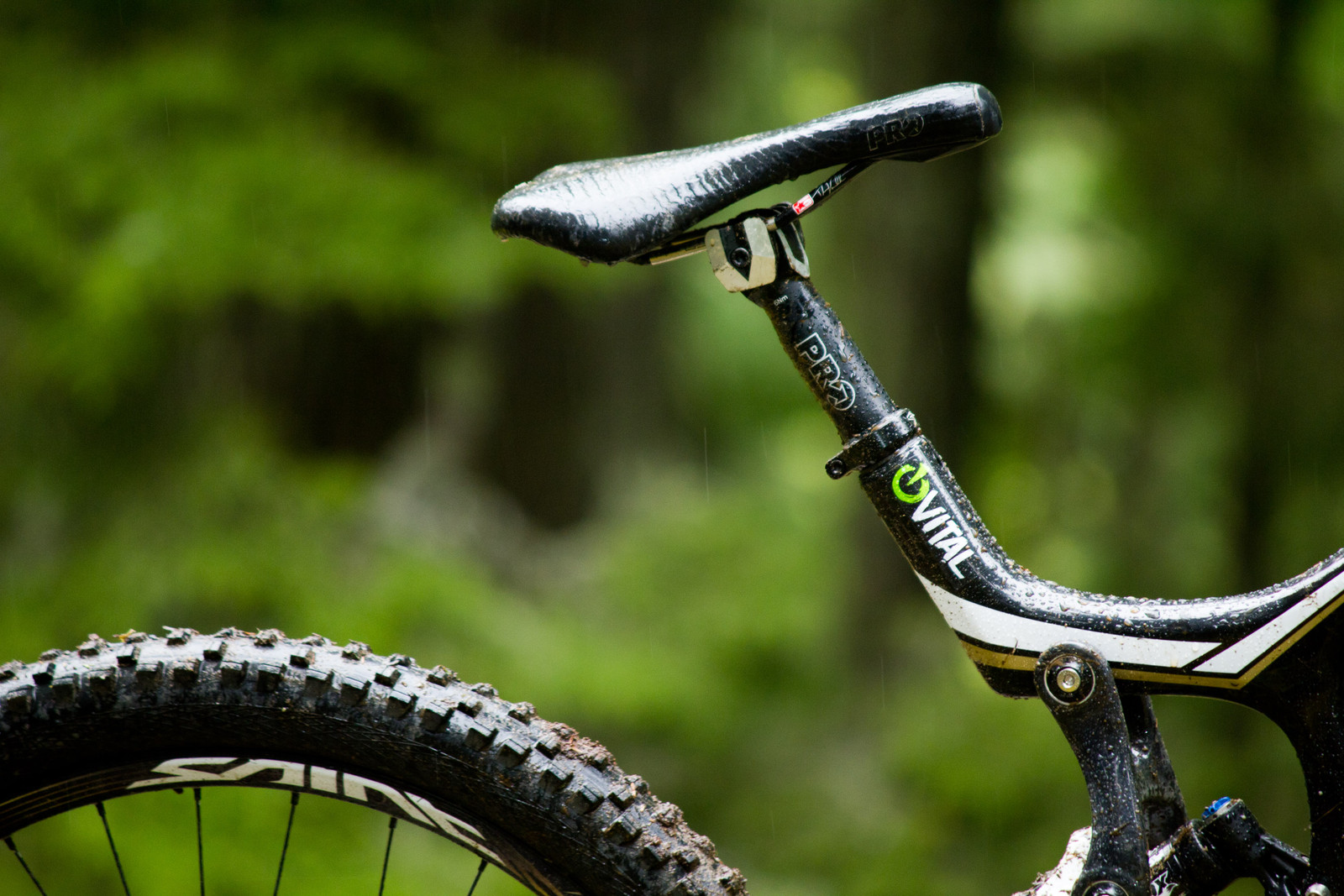 Back End - First Look: Vital's Pre-Production Shimano Saint Equipped V ...