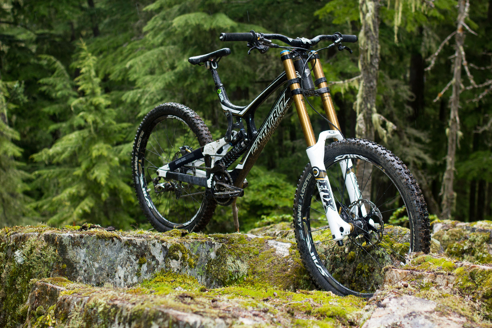 Up Front - Fox 40 FIT RC2 Fork - First Look: Vital's Pre-Production ...