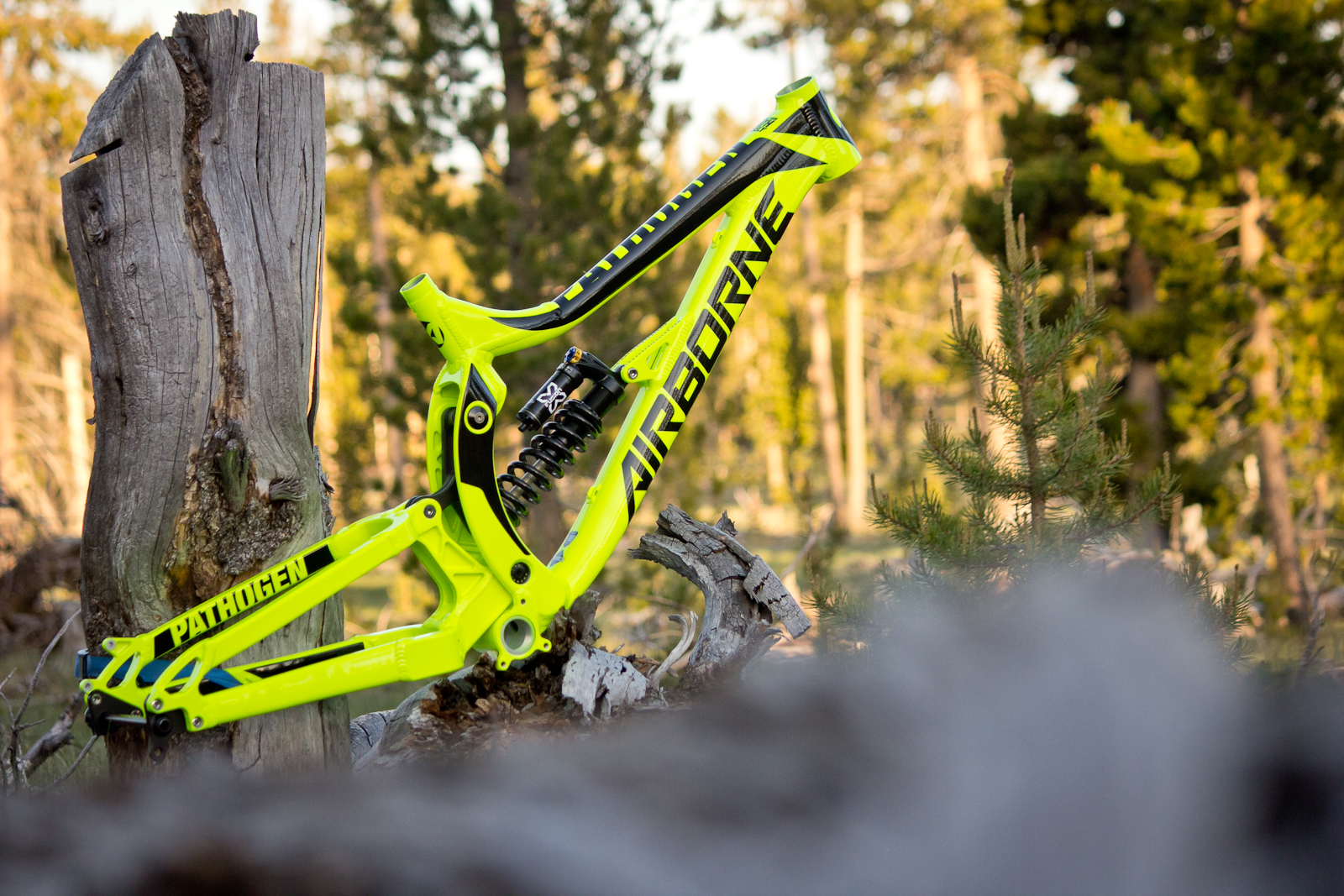 Airborne Pathogen DH Frame - Value DH Project: 20 Photos of the ...