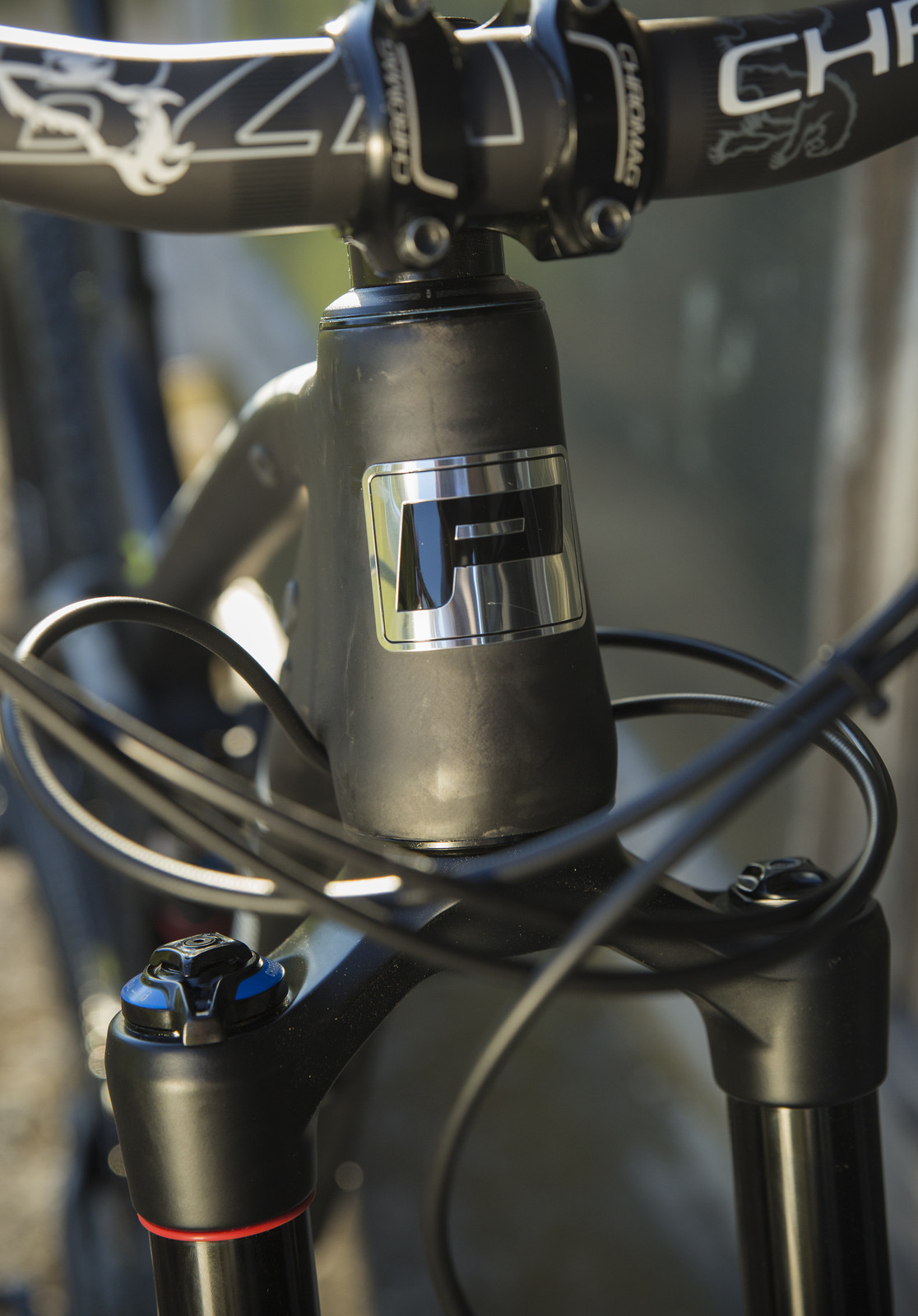 Custom PYGA Stage MAX - Robin_Schaub's Bike Check - Vital MTB