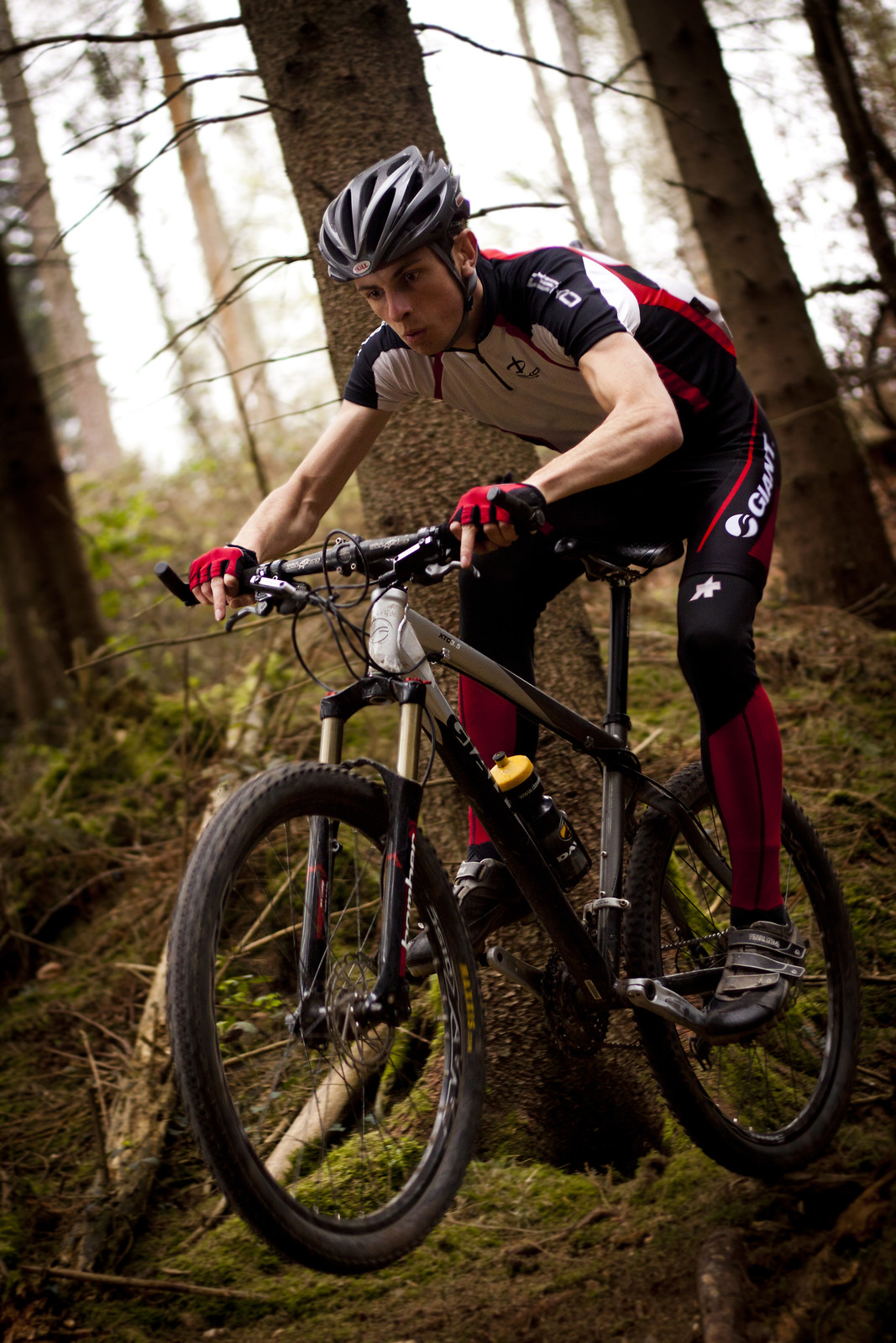 Forest Of Dean Mtbing - James_Hards - Mountain Biking Pictures - Vital MTB