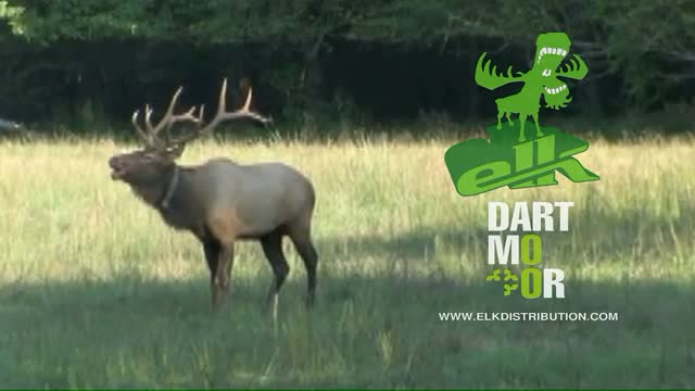 Elk Distribution - Dartmoor Phantom Promo Video with Dolfin Brothers ...