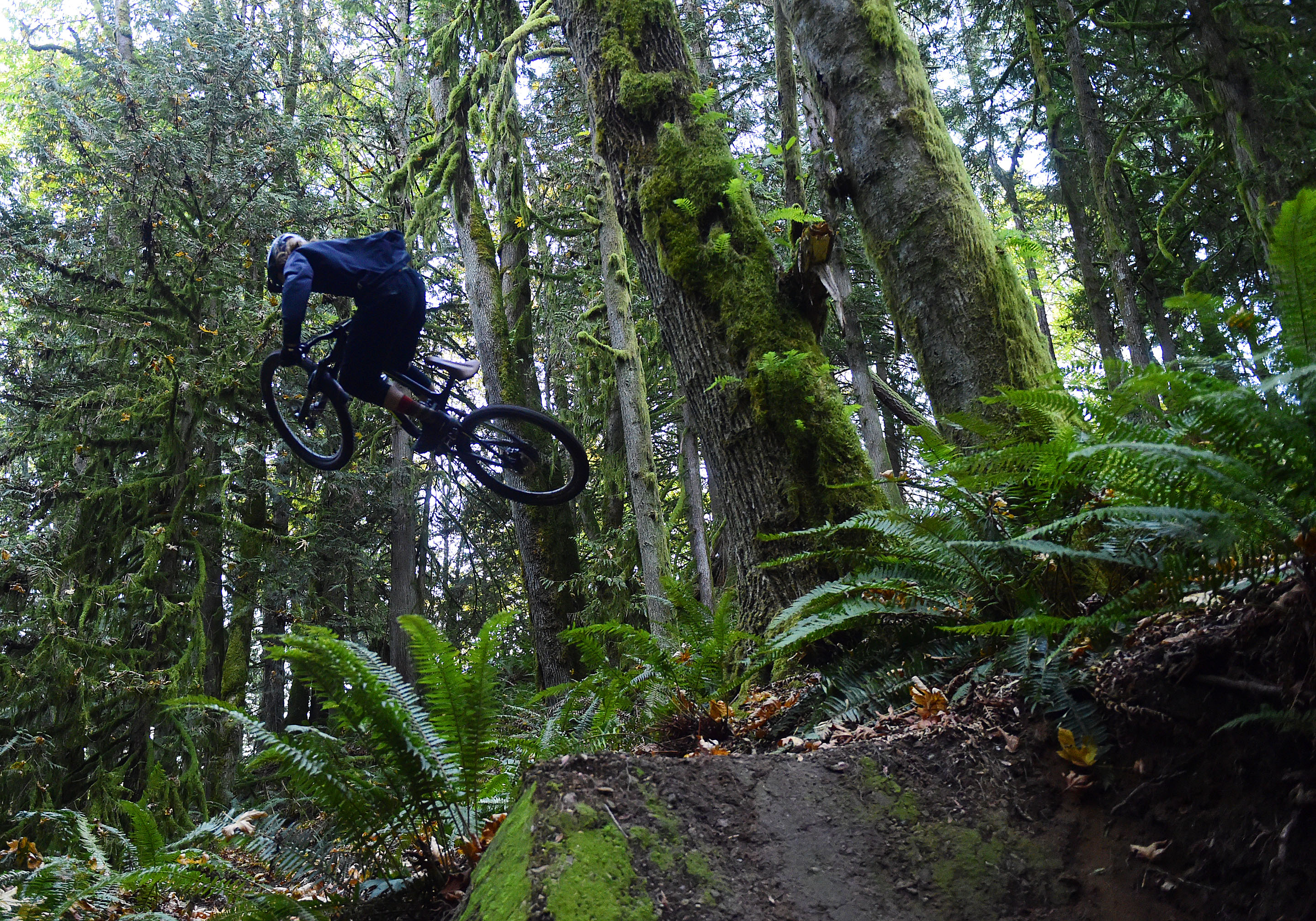 PNW 4 - jebvt - Mountain Biking Pictures - Vital MTB