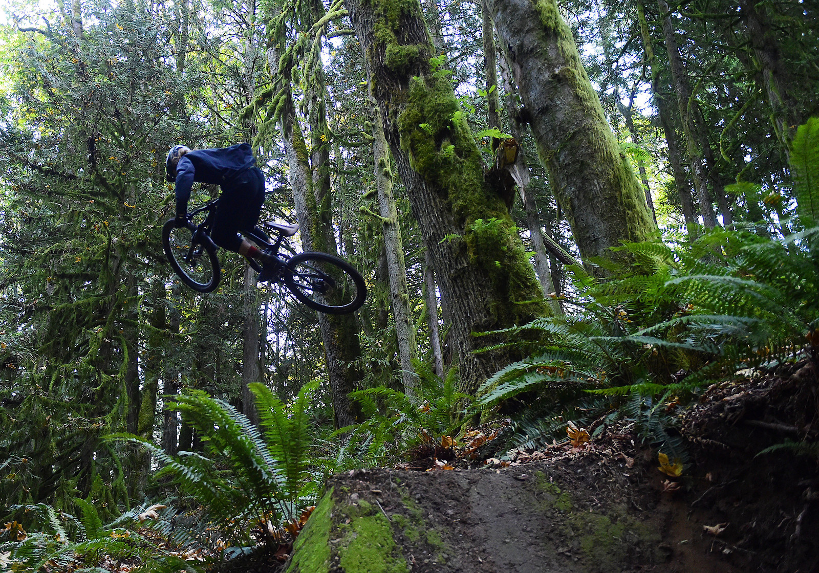 PNW 4 - jebvt - Mountain Biking Pictures - Vital MTB