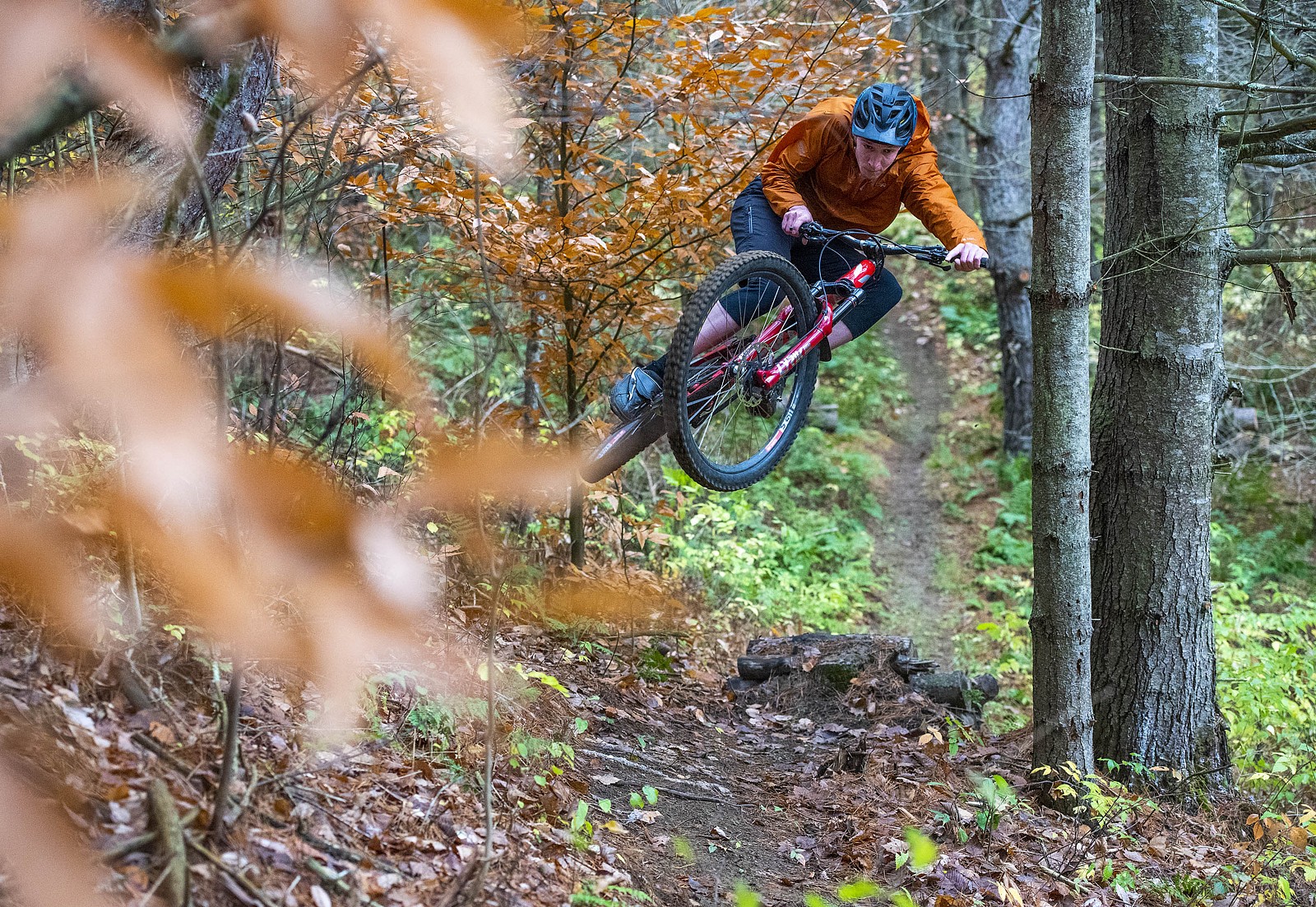 step up 061 - jebvt - Mountain Biking Pictures - Vital MTB