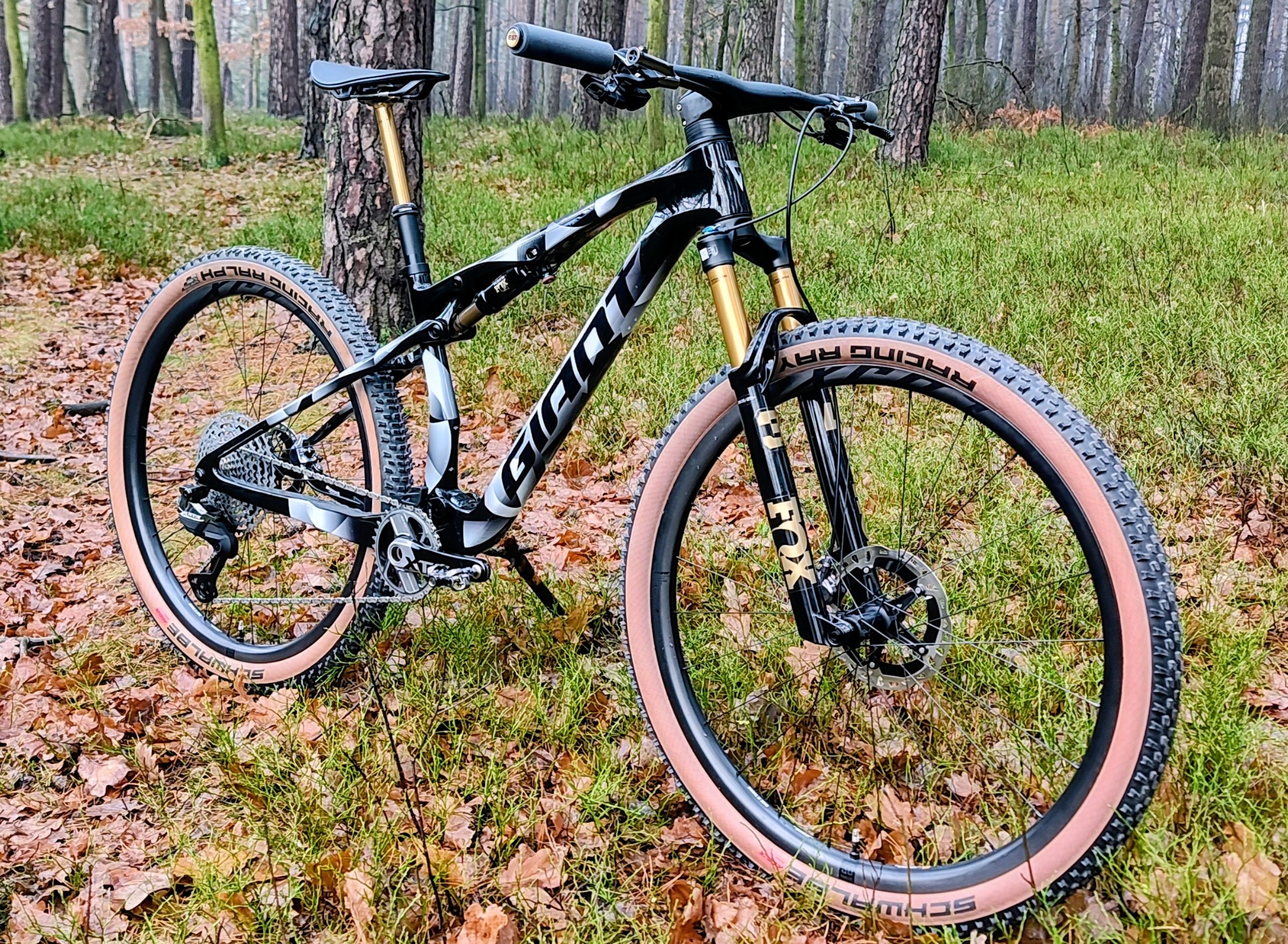 Giant Anthem Advanced SL SE World Champs Edition - MkBikeOnline's Bike ...