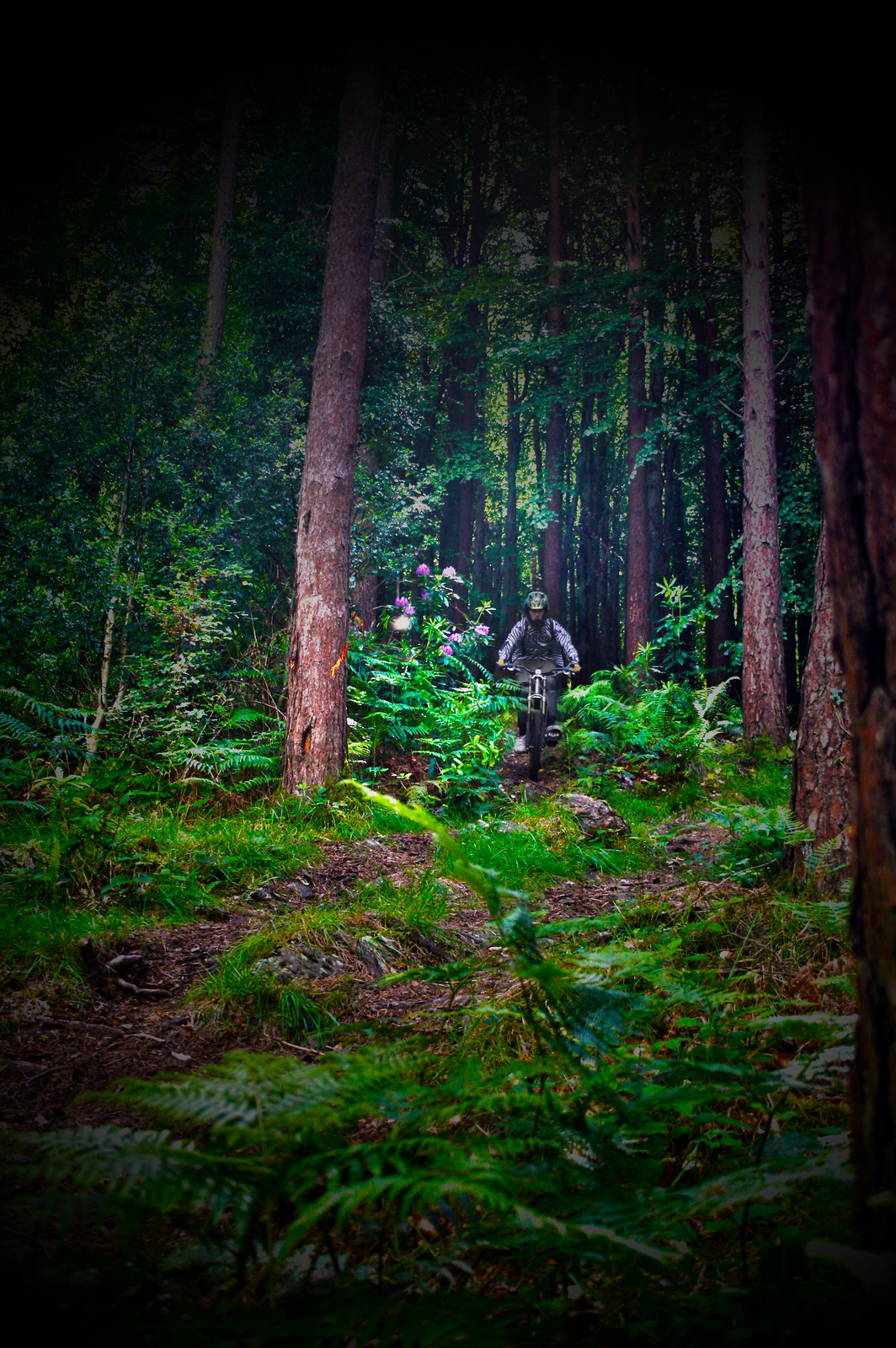 fhgn - George_Mitchell - Mountain Biking Pictures - Vital MTB