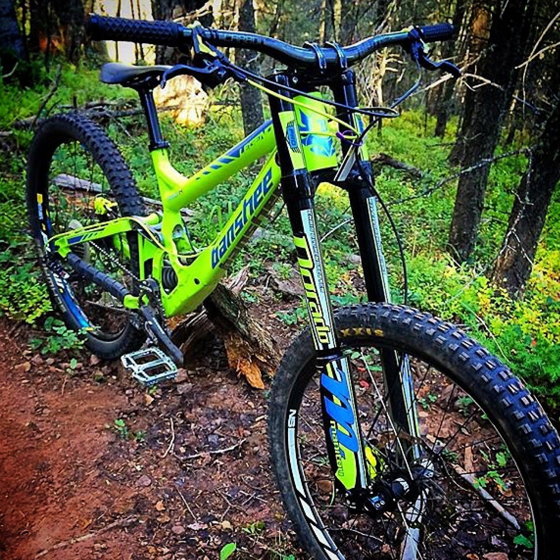 Banshee Legend - spicoli's Bike Check - Vital MTB