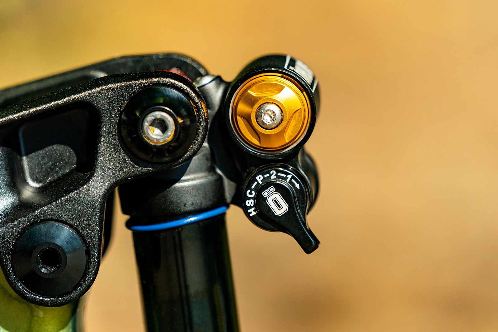 DavidM-Optic-72822-Zuest-80-Edit - One Ghost - Mountain Biking Pictures ...