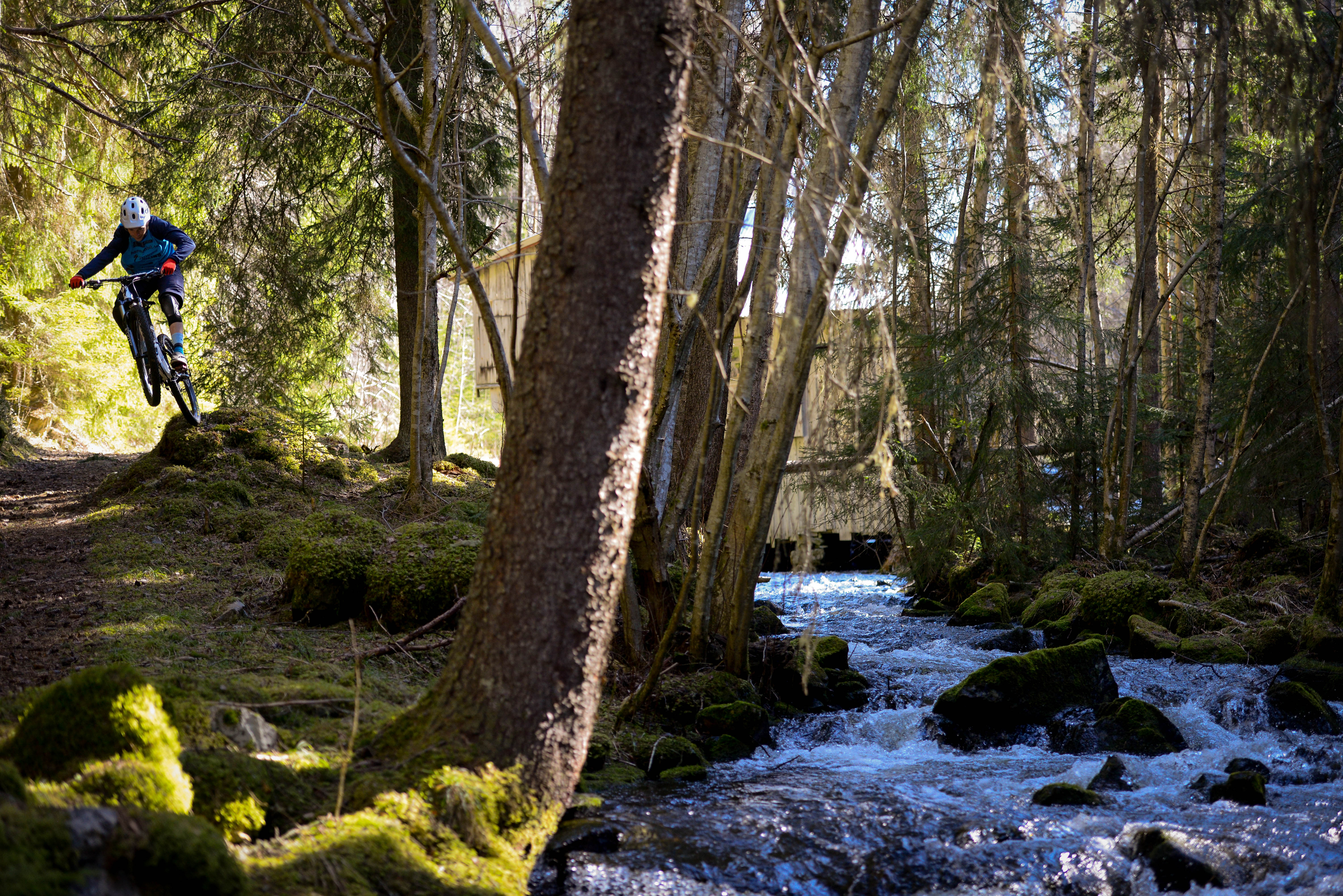 Niklas Wallner - Nwallner - Mountain Biking Pictures - Vital MTB